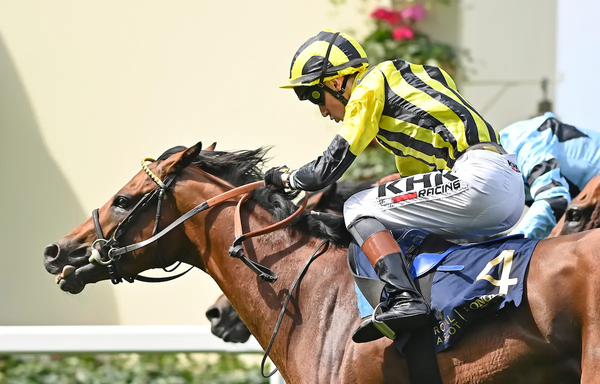 St Leger: Roger Varian "delighted" with Eldar Eldarov