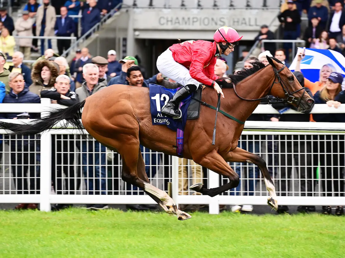 "Phenomenal" Highfield Princess stuns Flying Five rivals