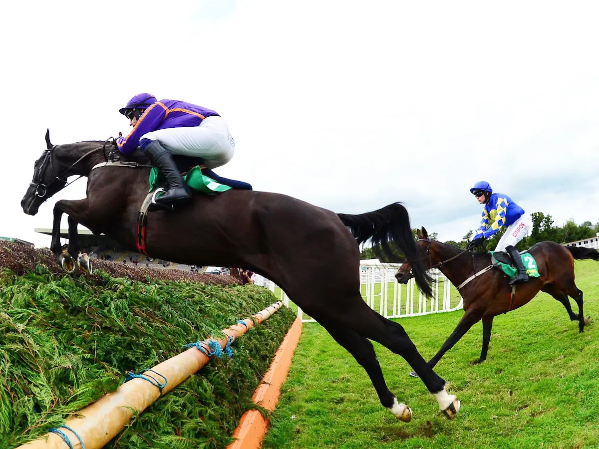 Listowel report: Easy Game proves highlight as Mullins dominates