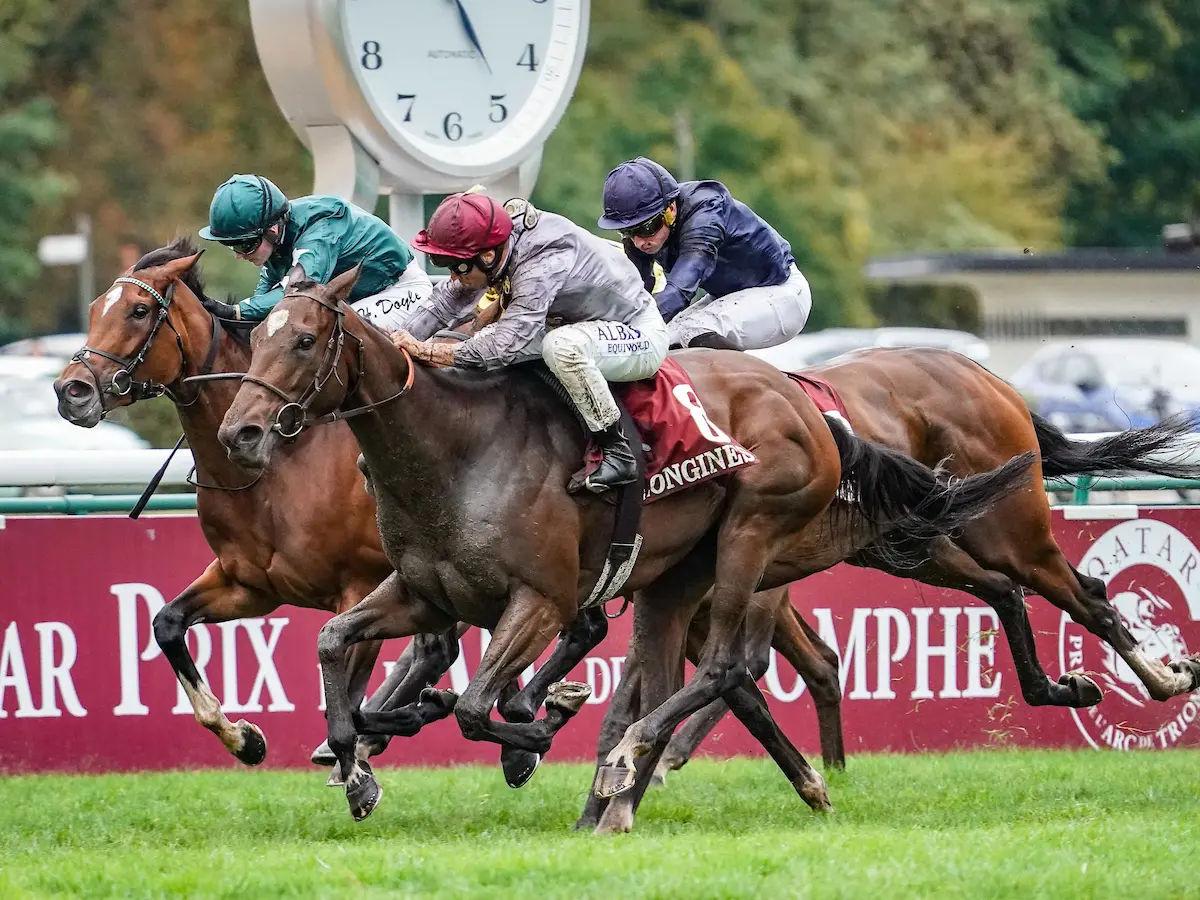 Nashwa and Doyle denied by 66-1 chance Place Du Carrousel