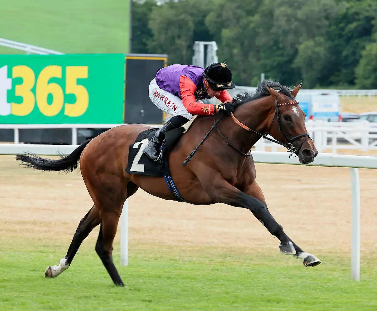 Perfect Alibi a first Listed winner for the King