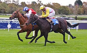 Today's Horse Racing News | Racing TV