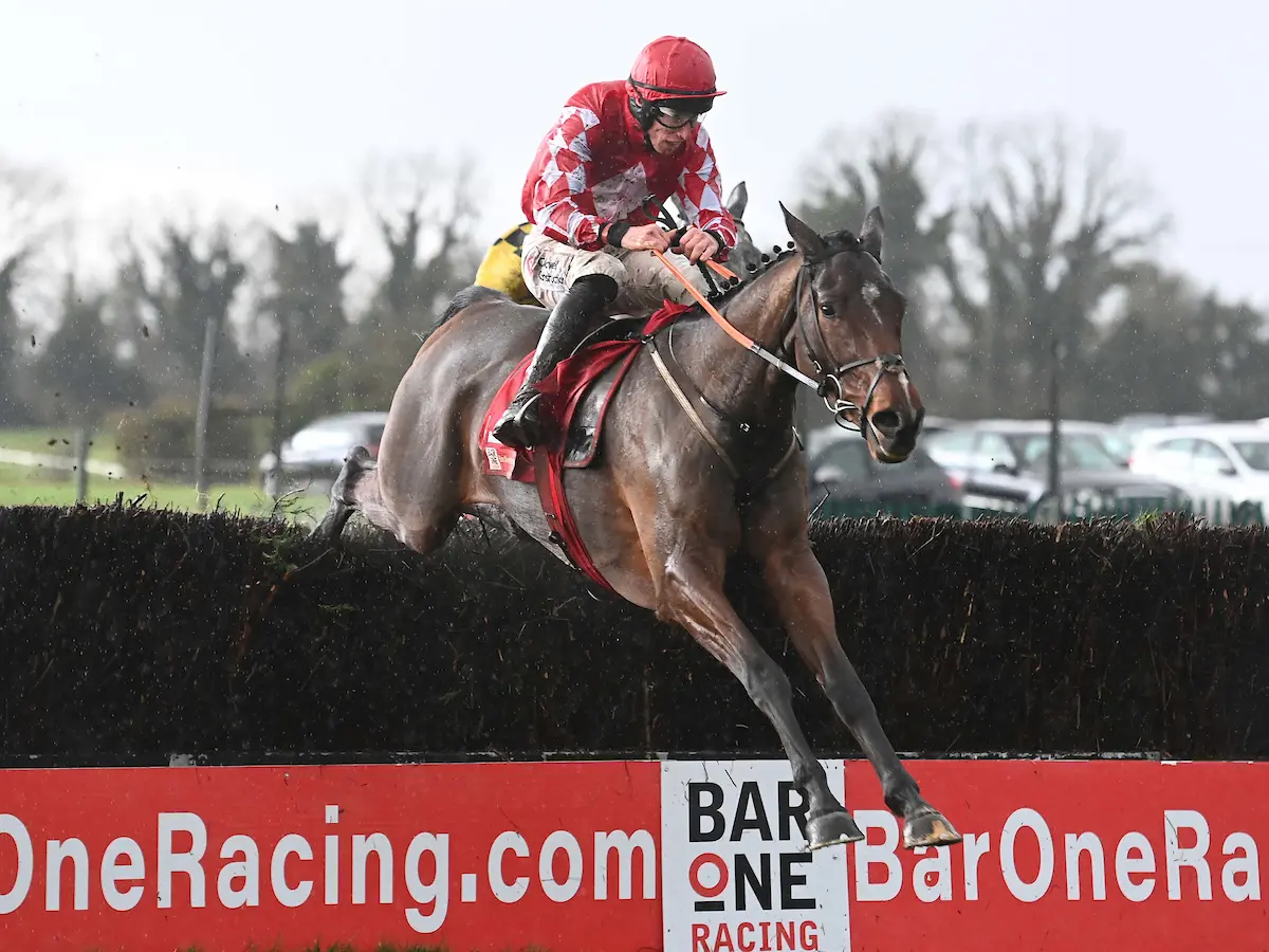 Mighty Potter cut for Cheltenham glory following Drinmore win