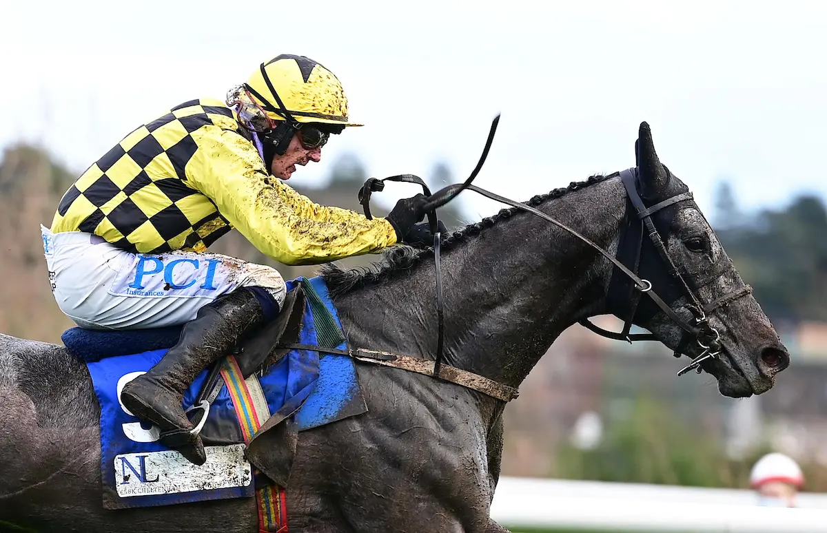 Horse racing tips: Jane Mangan's bets for Fairyhouse on Sunday