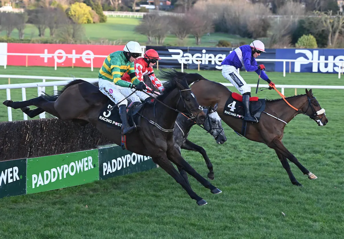 Dublin Racing Festival: Johnny Ward's tips for day one