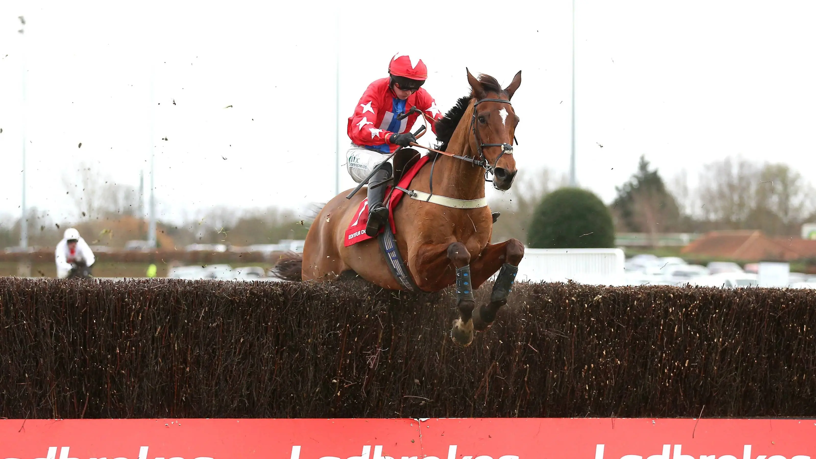 Key horses to follow on Racing TV on Saturday