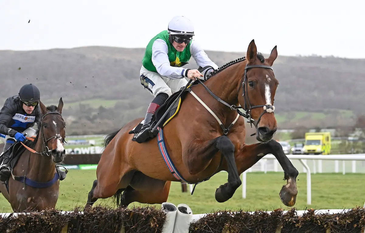 Cheltenham tips: Dave Nevison's best bets for Saturday