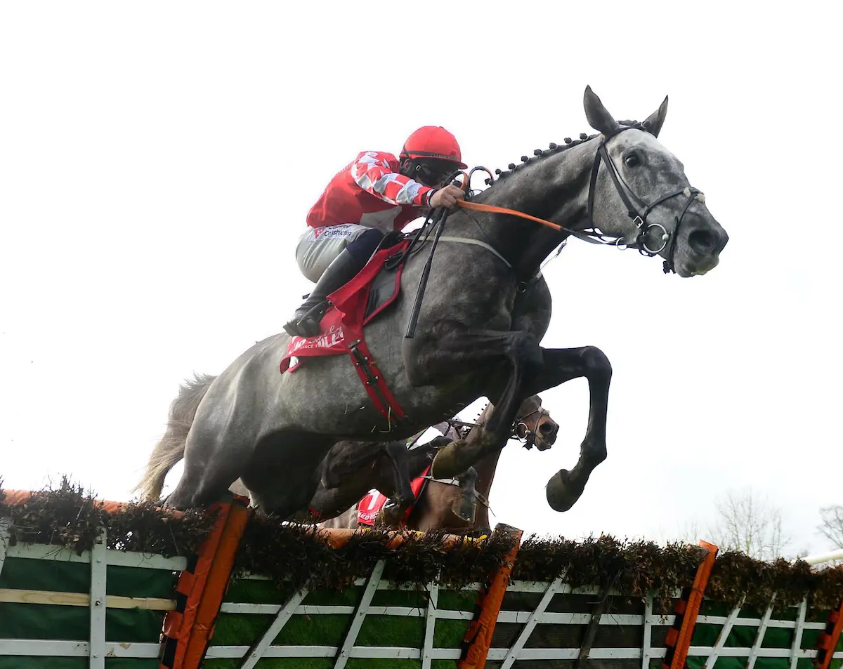 Red Mills Day at Gowran: Fil Dor and Janidil take plaudits