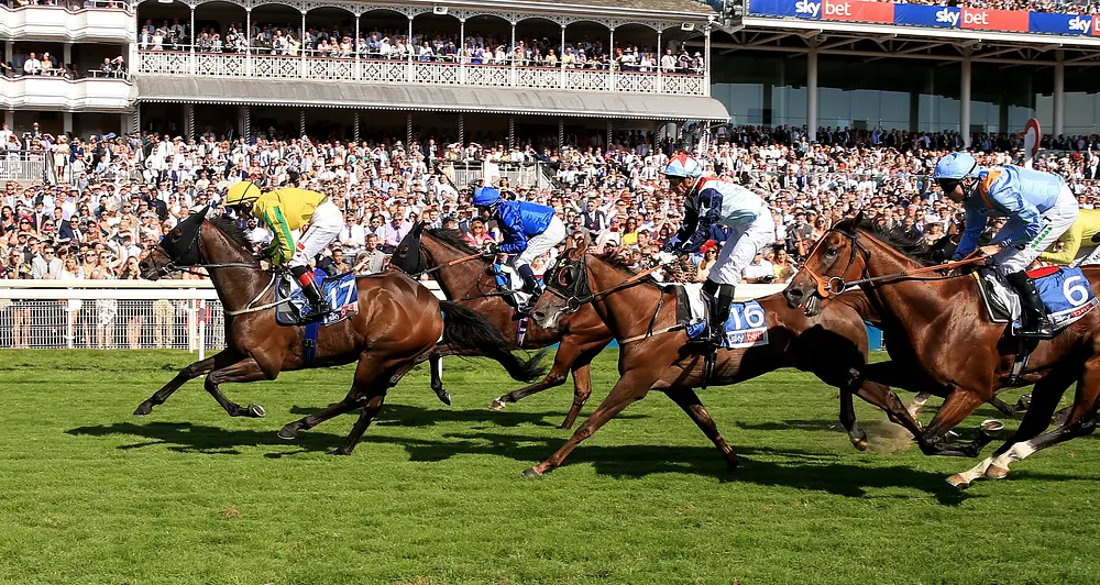Watch Today's Live Horse Racing Streaming | Racing TV