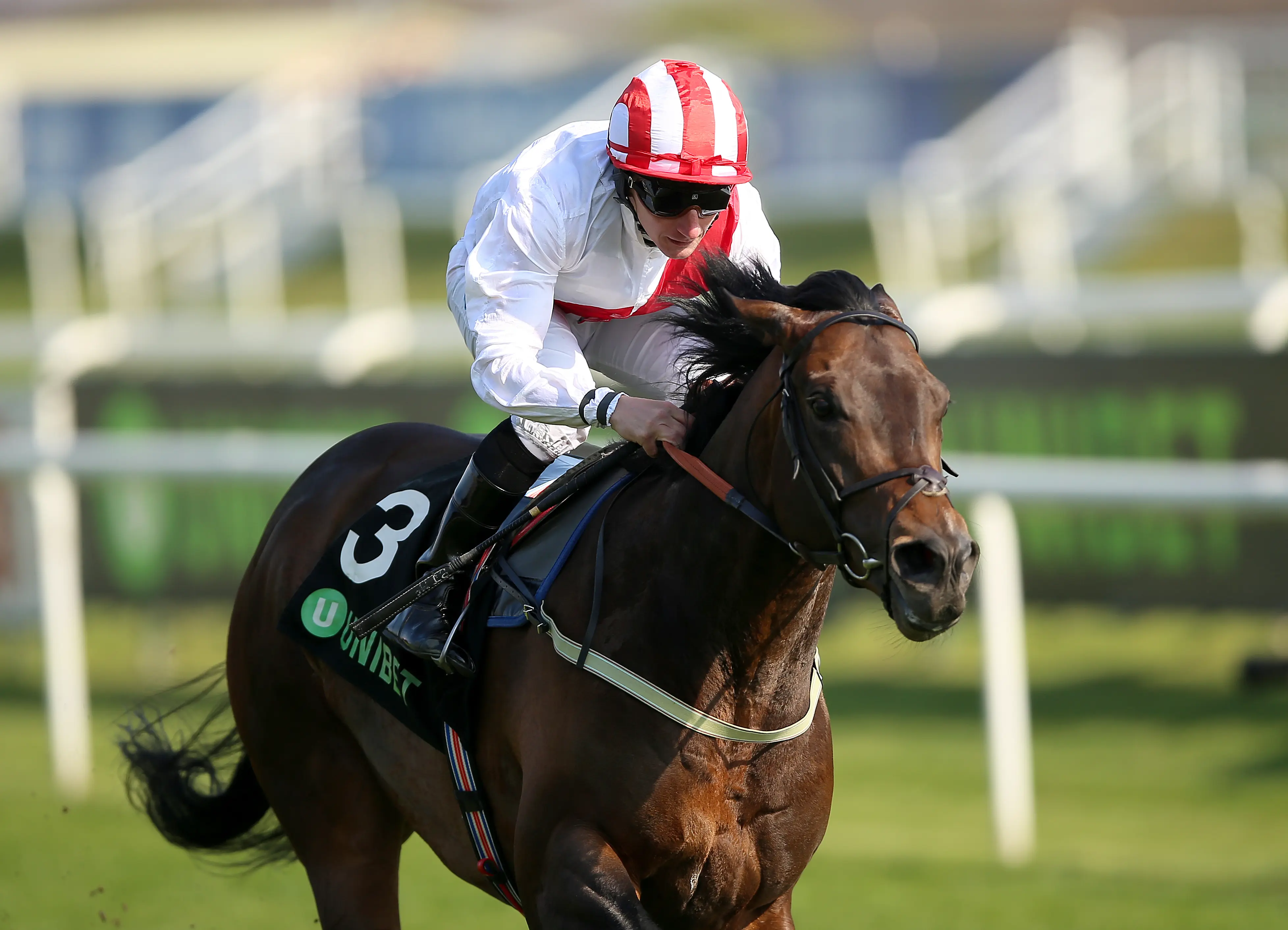 James Tate eyes French exams for Invincible Army and Under The Stars