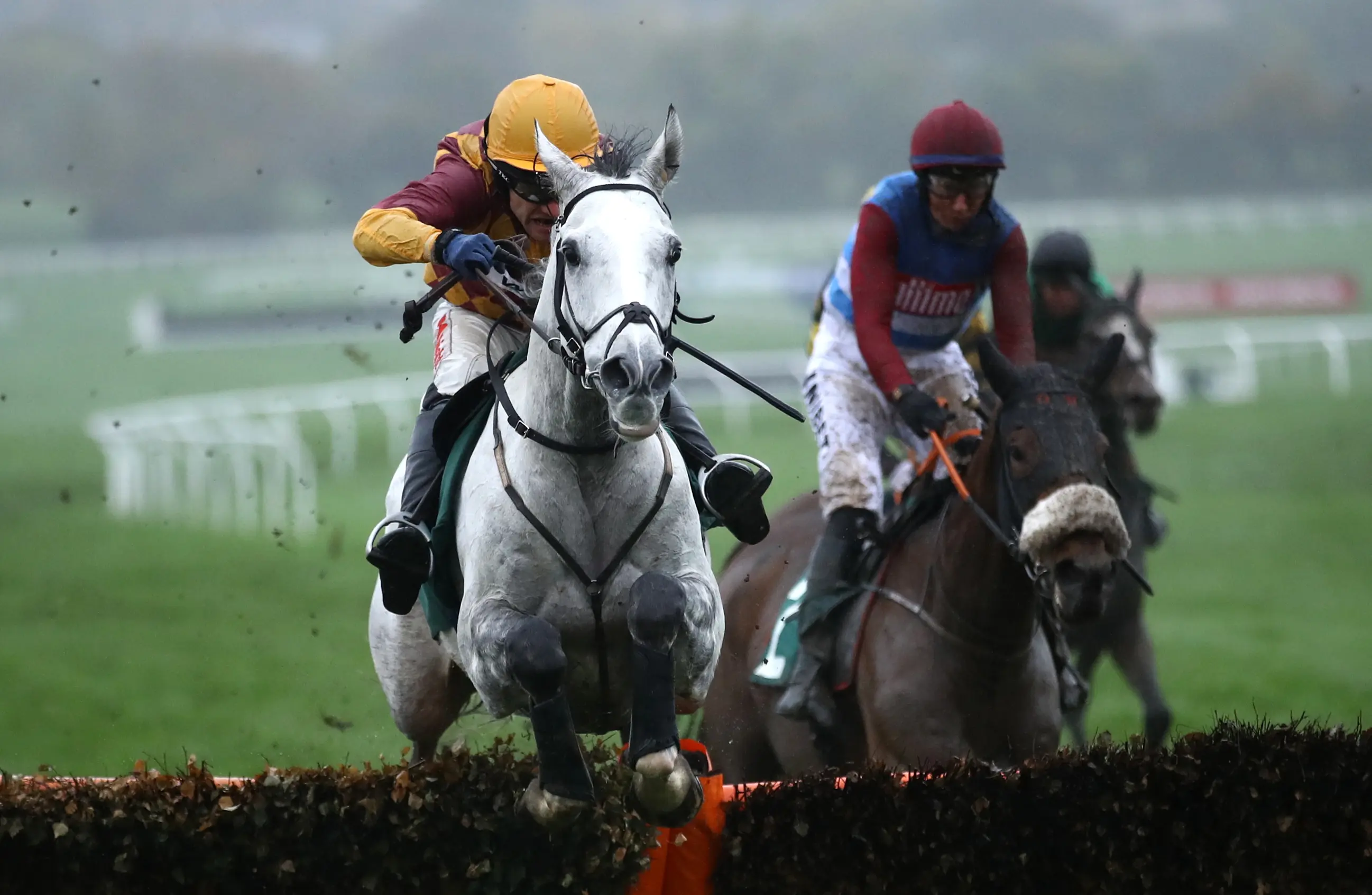 Weather hold key to Ramses De Teillee target at Cheltenham