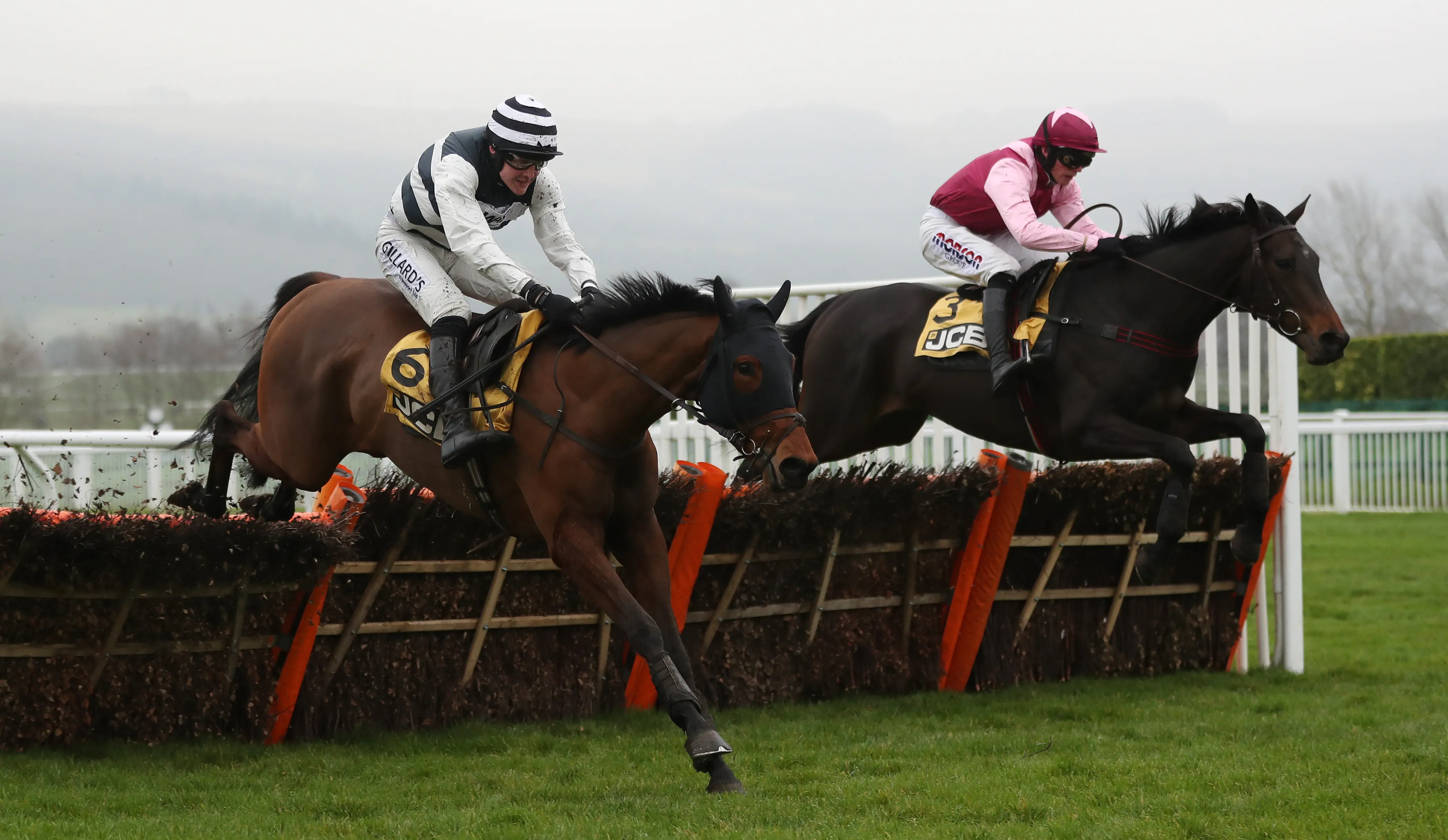 Nick Williams says Galahad Quest has "exciting" future after Triumph ...