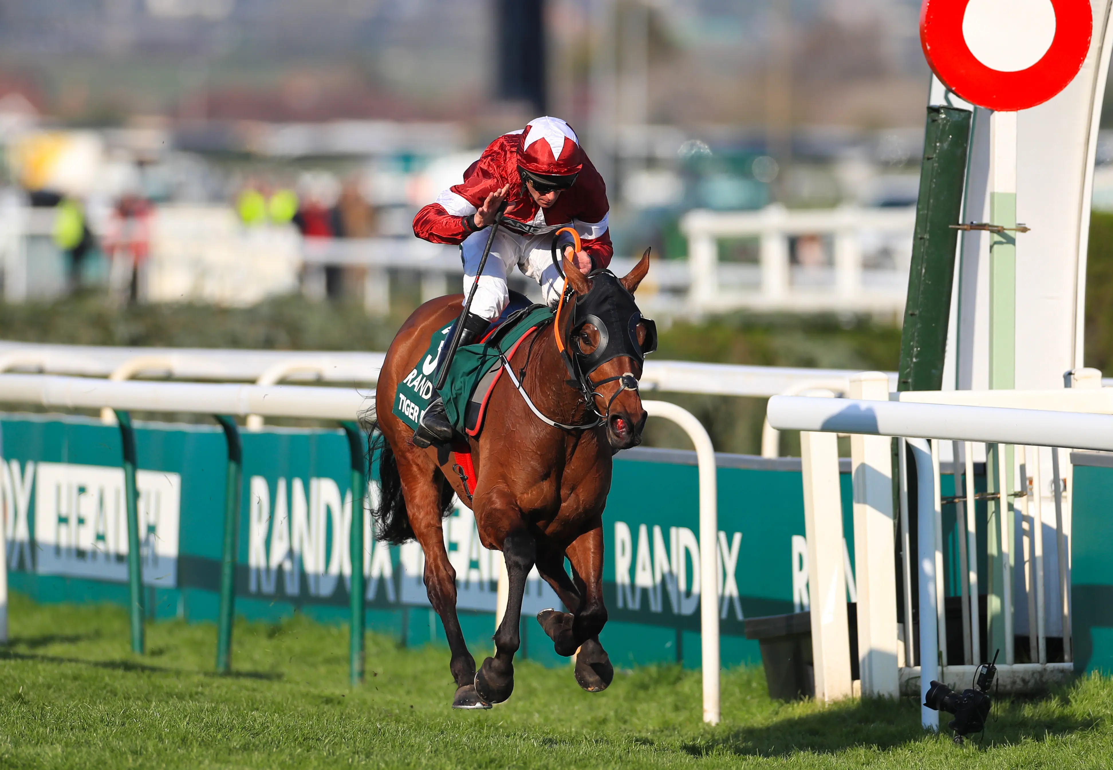 The Virtual Grand National: Bookies braced for busy day and NHS set to ...