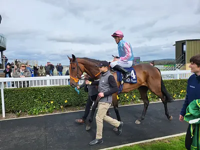 Purple Lily hints at Classic potential for Paddy Twomey