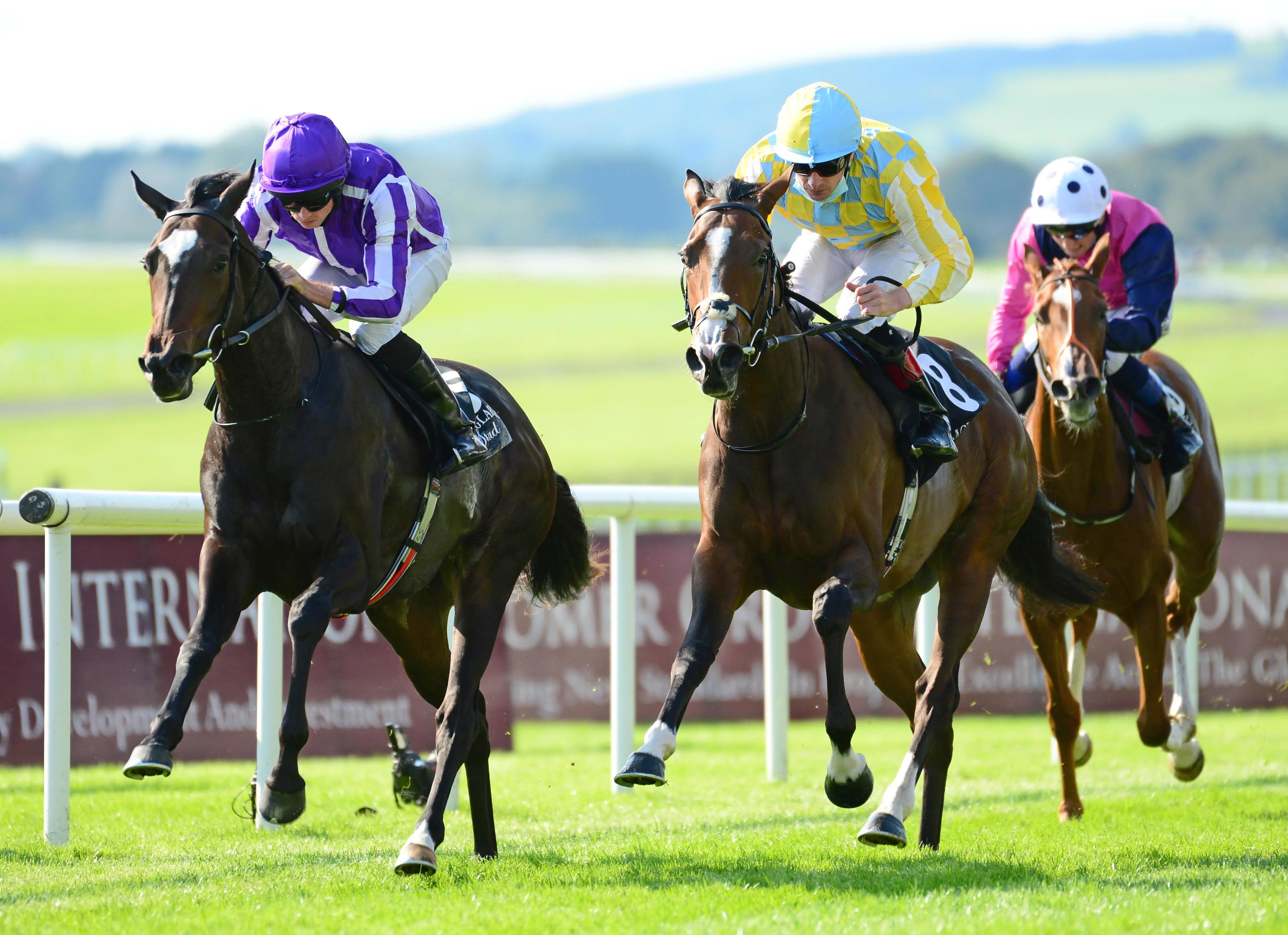 Newmarket preview: Shale and Pretty Gorgeous face off again in Fillies ...