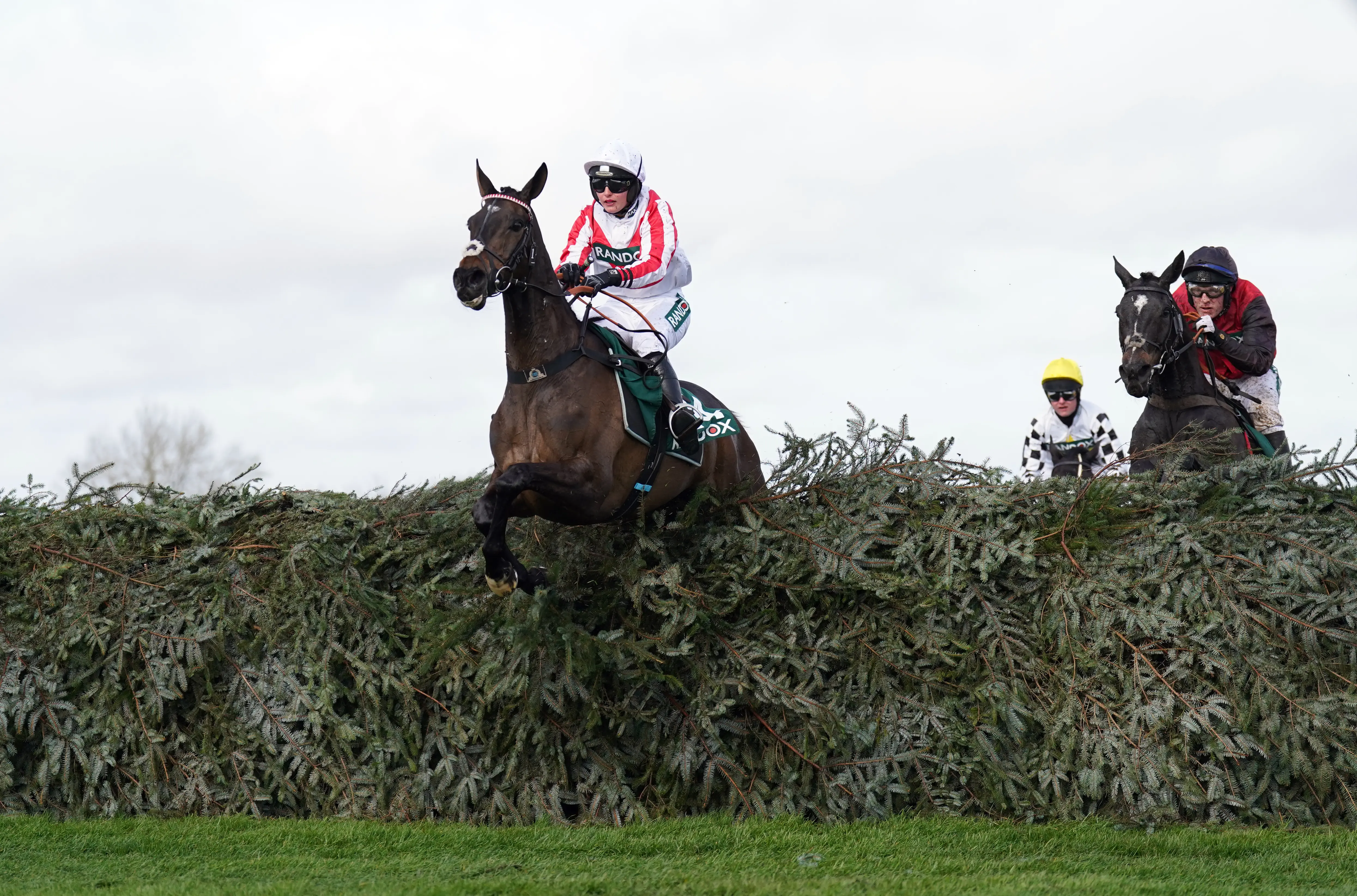 Dave Nevison Saturday tips: Be sure to grab Latenightpass