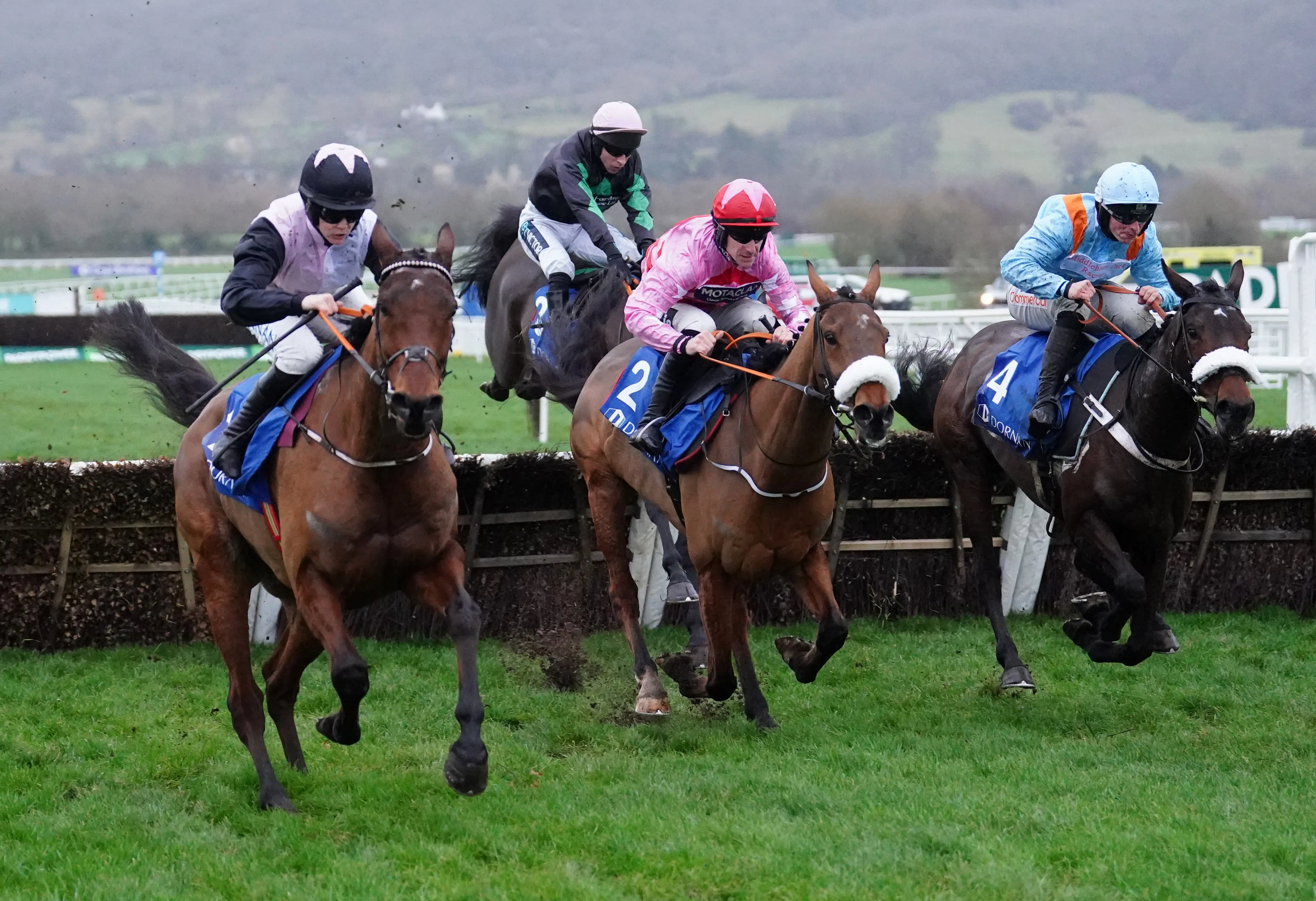 Relkeel Hurdle: runner-by-runner guide and tip