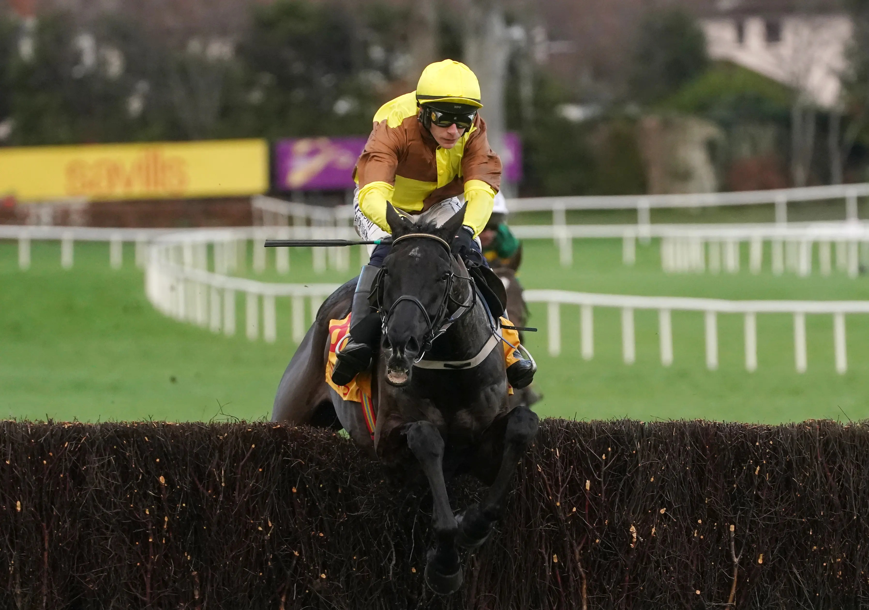 Galopin Des Champs back to best in scintillating Savills success