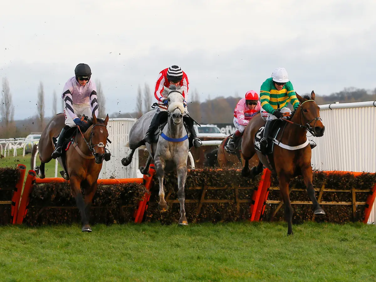 2023 Coral Challow Novices' Hurdle: runner-by-runner guide and tip