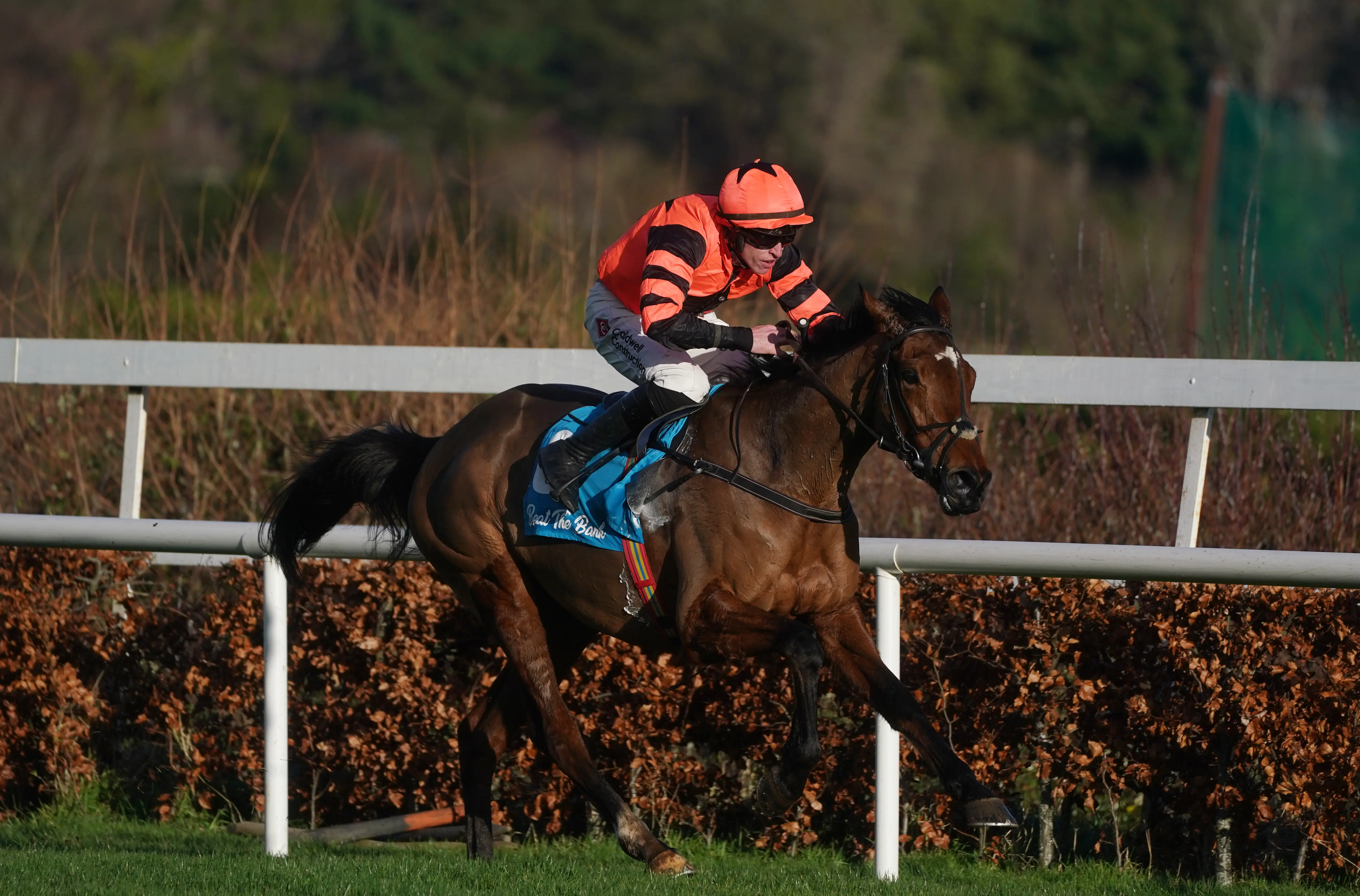 Jetara now going from strength to strength