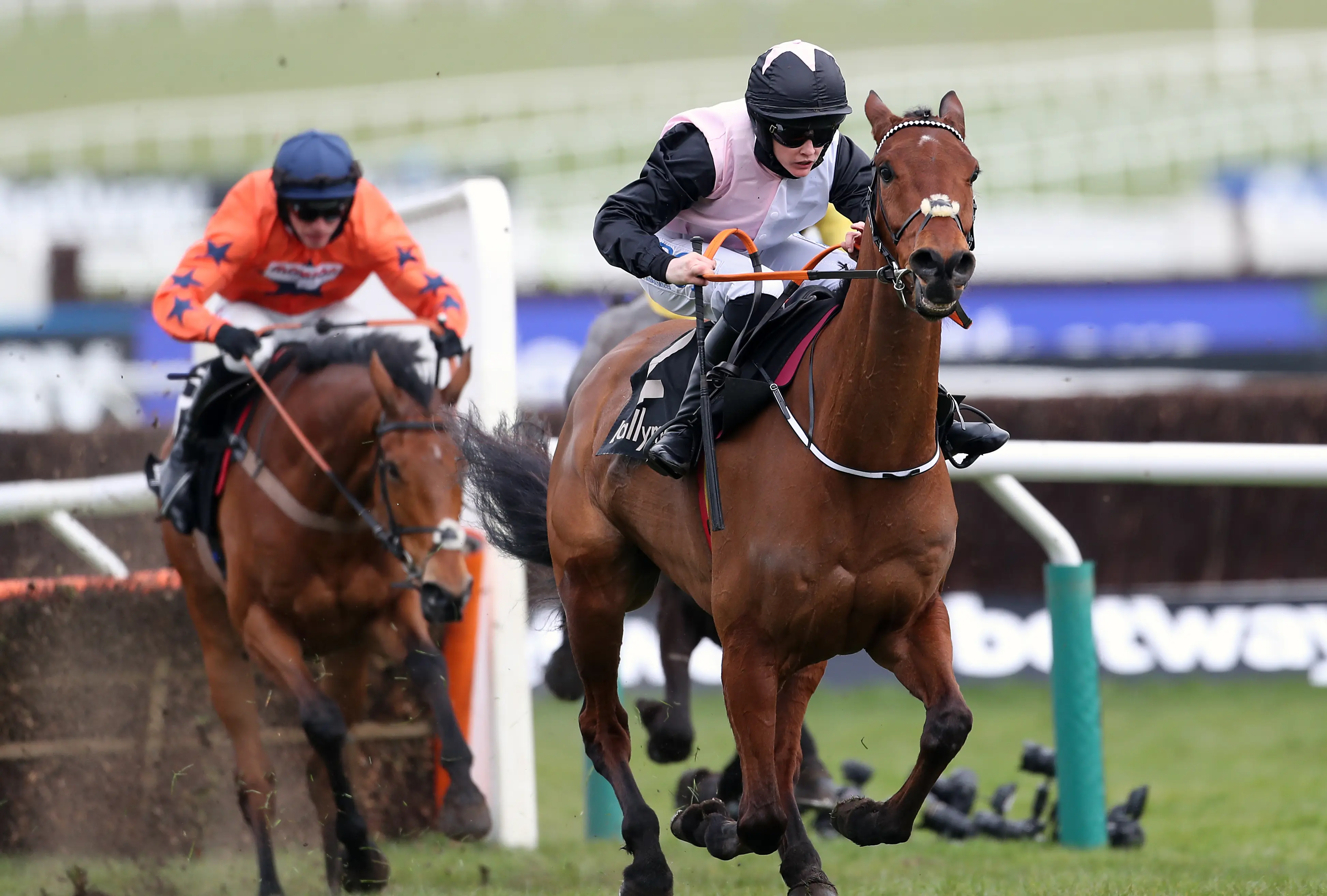 New Year's Day racing: Bob Olinger and Stage Star set for Cheltenham