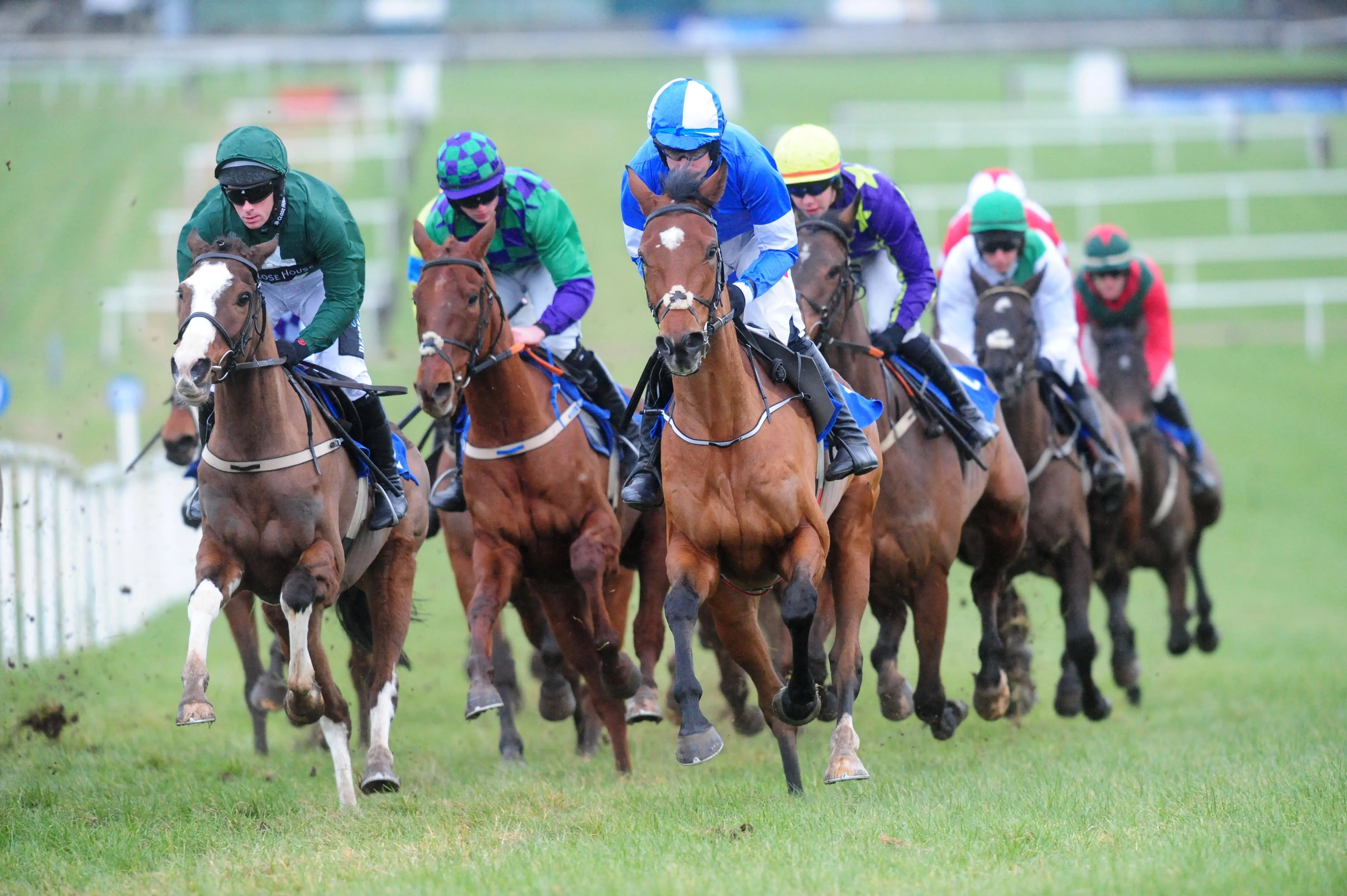 Equine flu: Racing to continue in Ireland with new guidelines for trainers