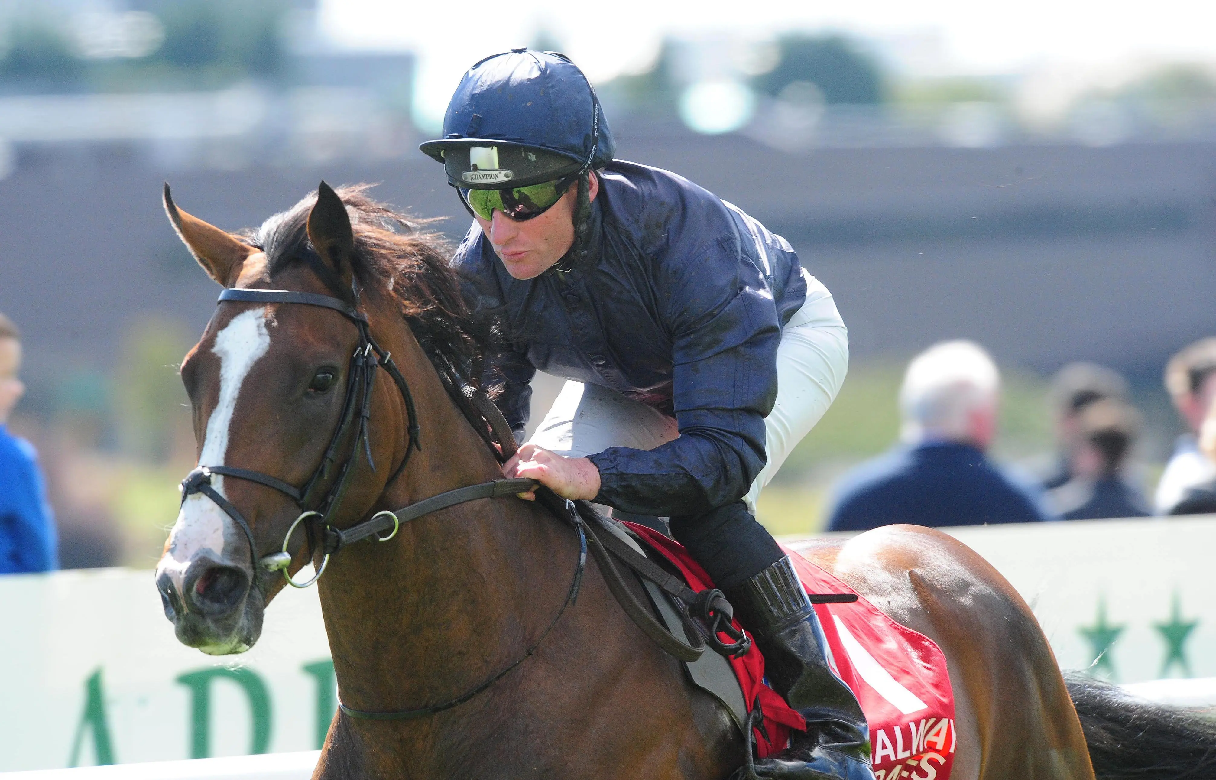 Naas preview: Fozzy Stack triple-handed in Group Three feature