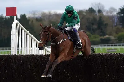 Leopardstown looks favoured for El Fabiolo in preference to rearranged ...