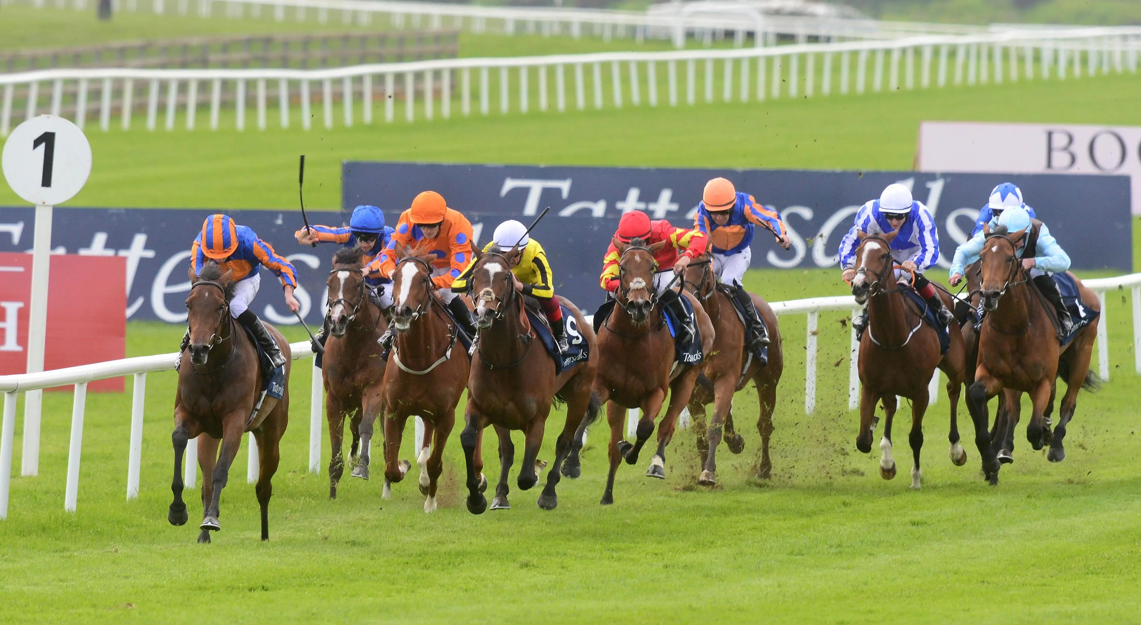 The Irish Angle: Johnny Ward's top tips for The Curragh