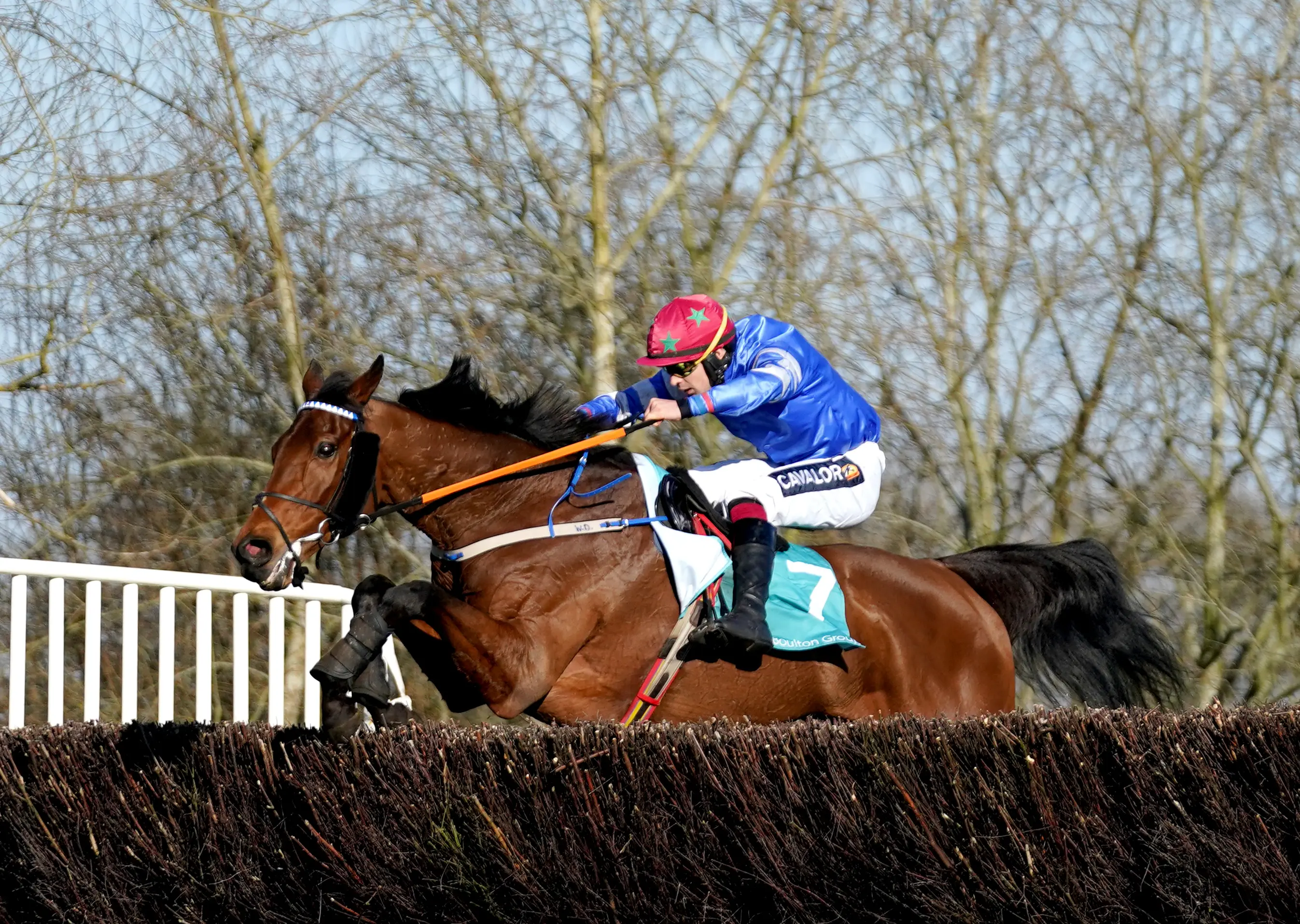 Uttoxeter report: Screaming Colours lands Midlands National