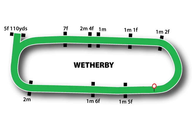 Wetherby Racecourse, Results & Racecards