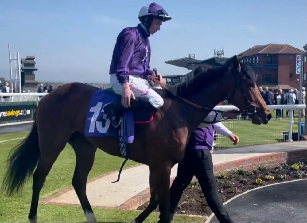 Beverley winner Primrose Ridge heading for Marygate