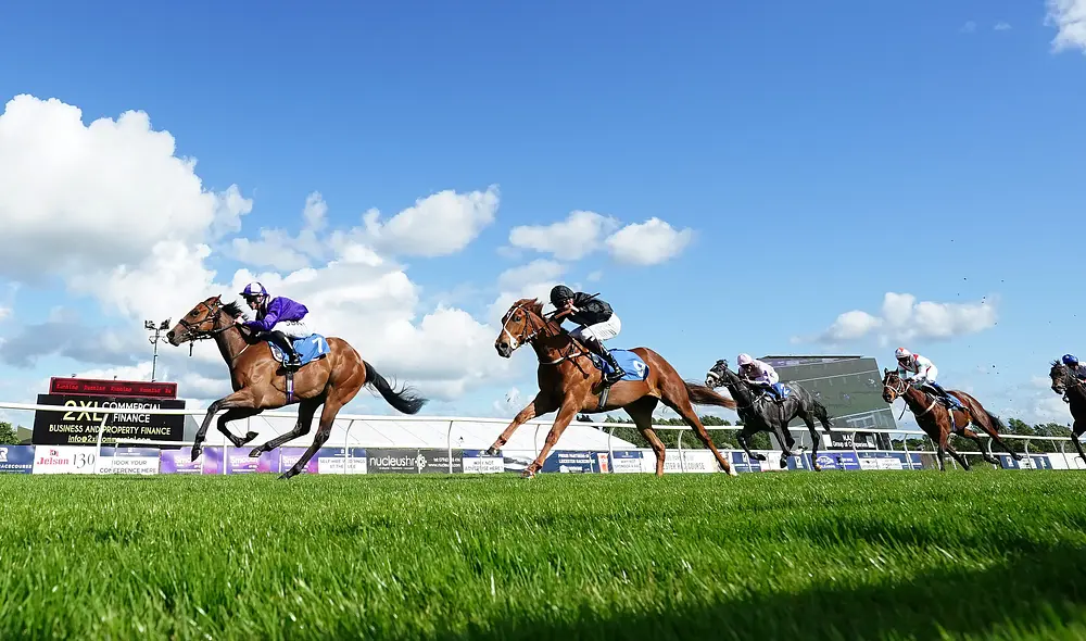 Today's Horse Racing News | Racing TV