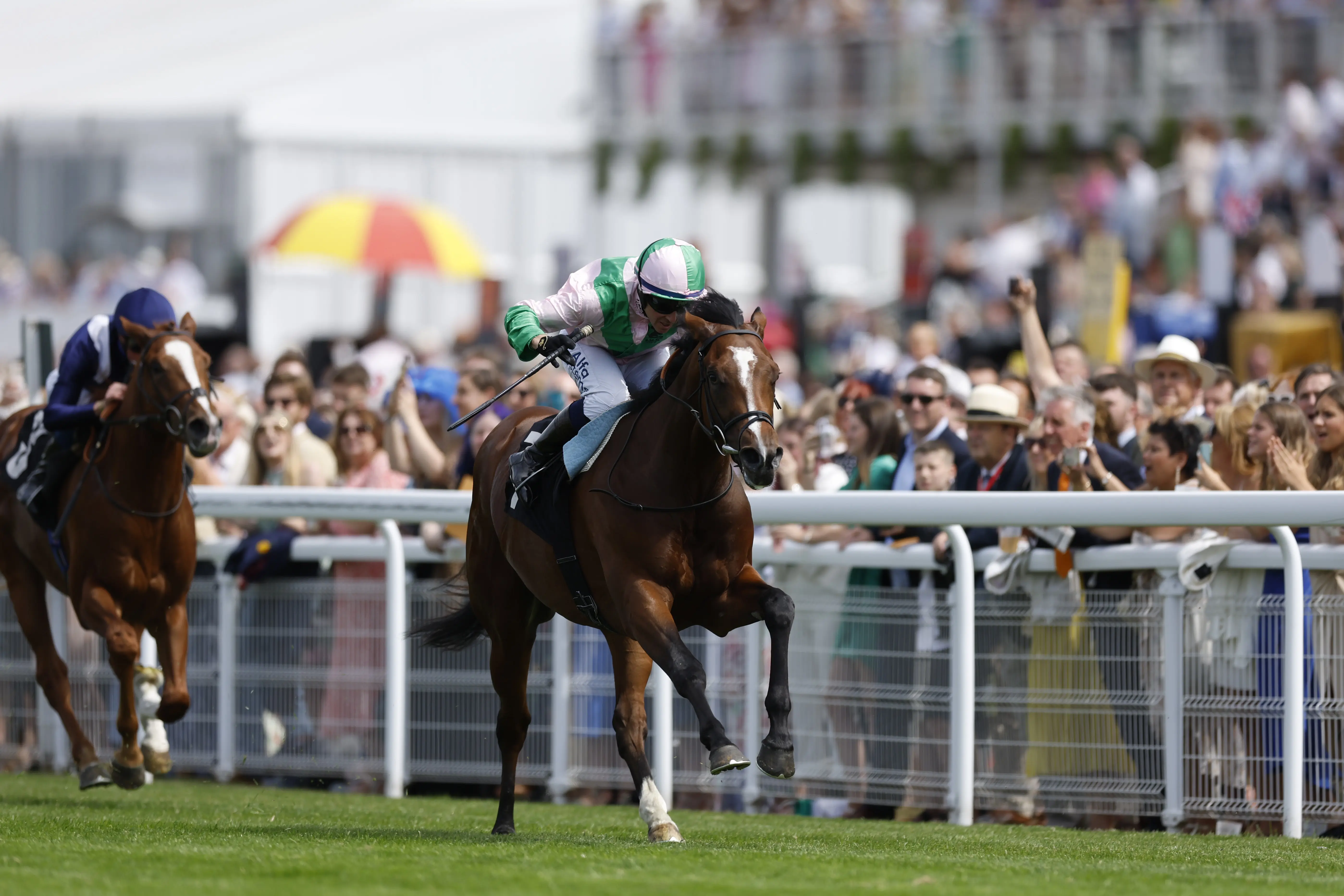 Connections still eye top-level targets with Royal Scotsman