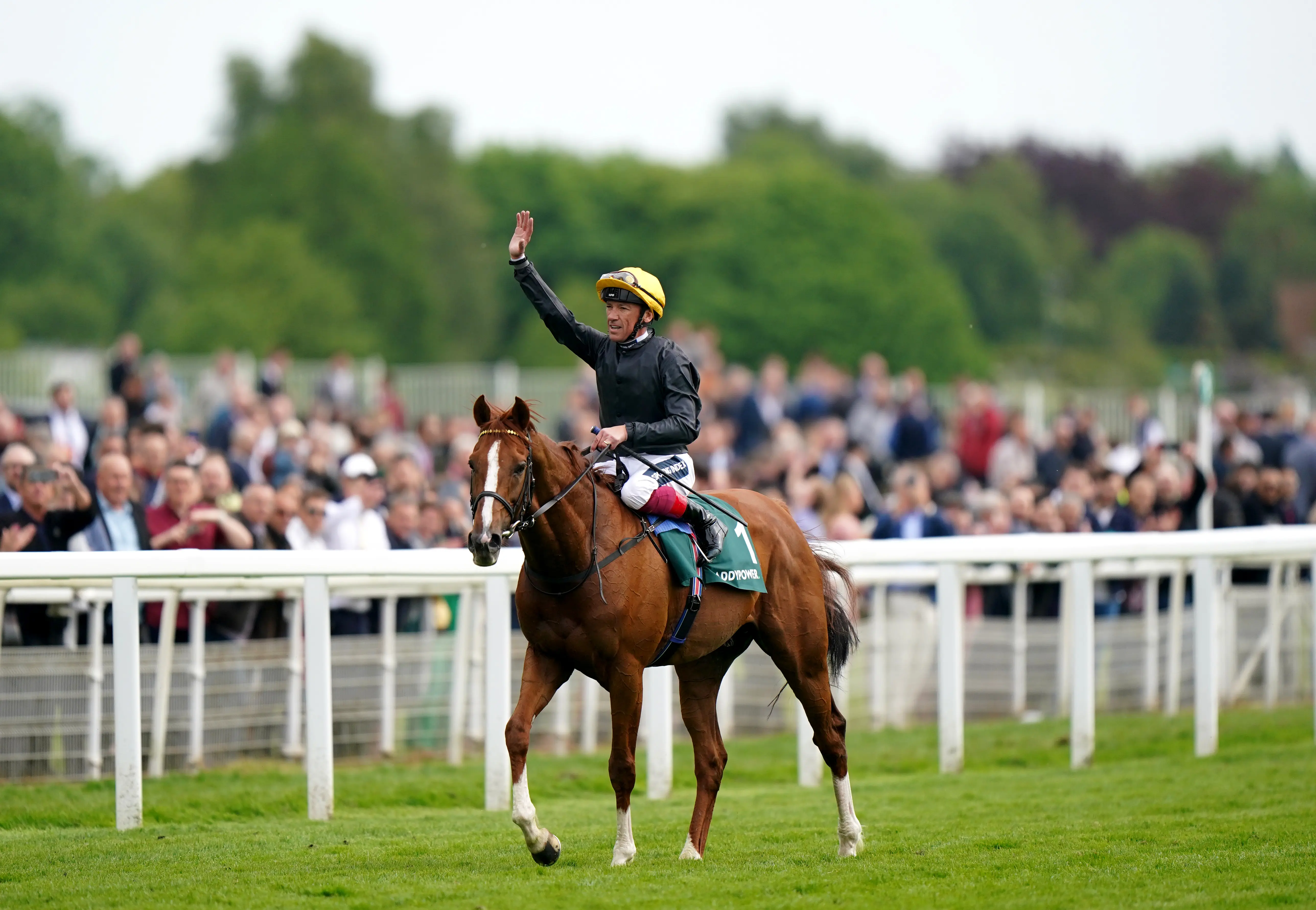Gosden hails Stradivarius as “the most extraordinary racehorse”