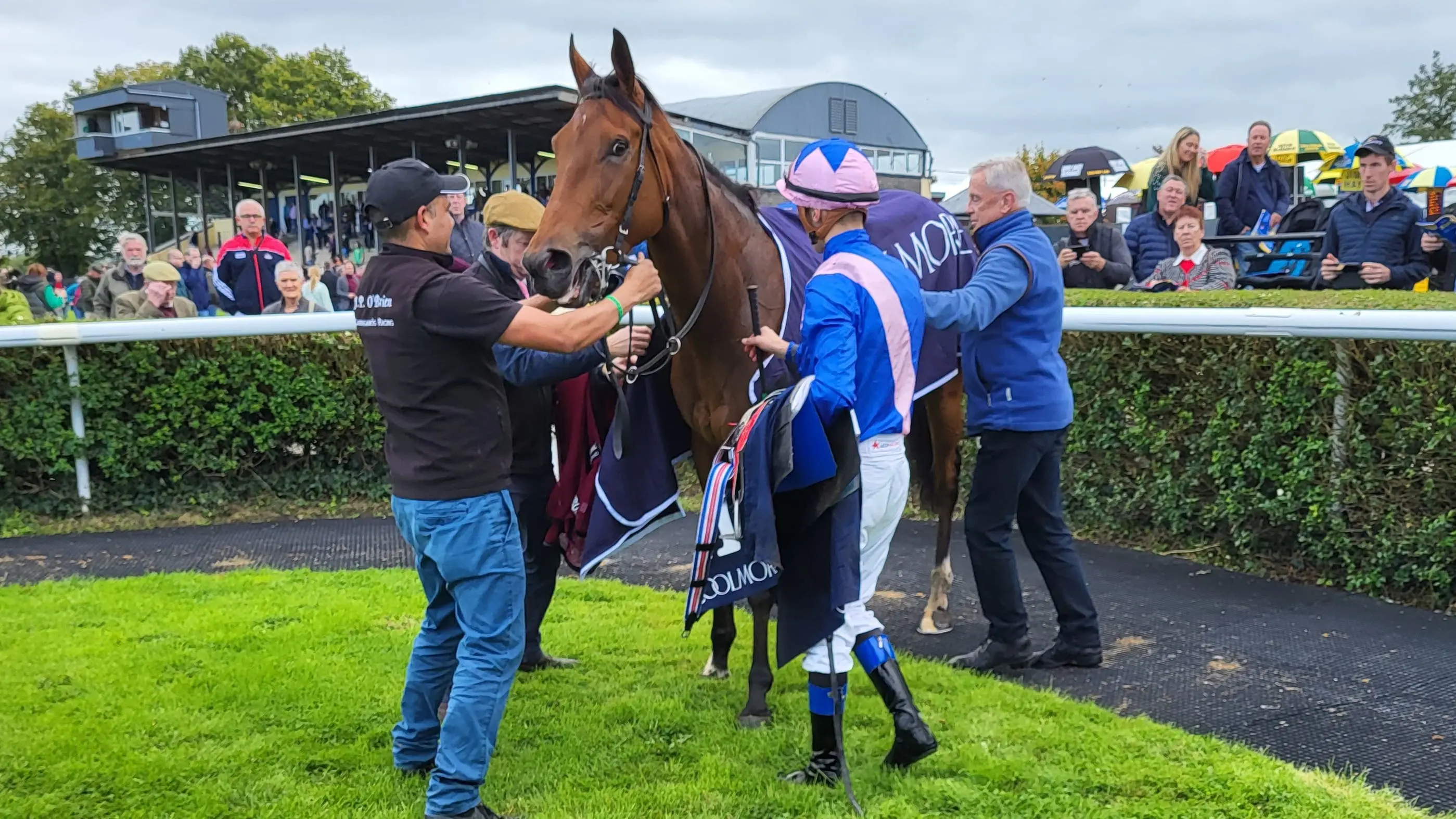 Statement impresses with smooth Group Three win at Tipperary