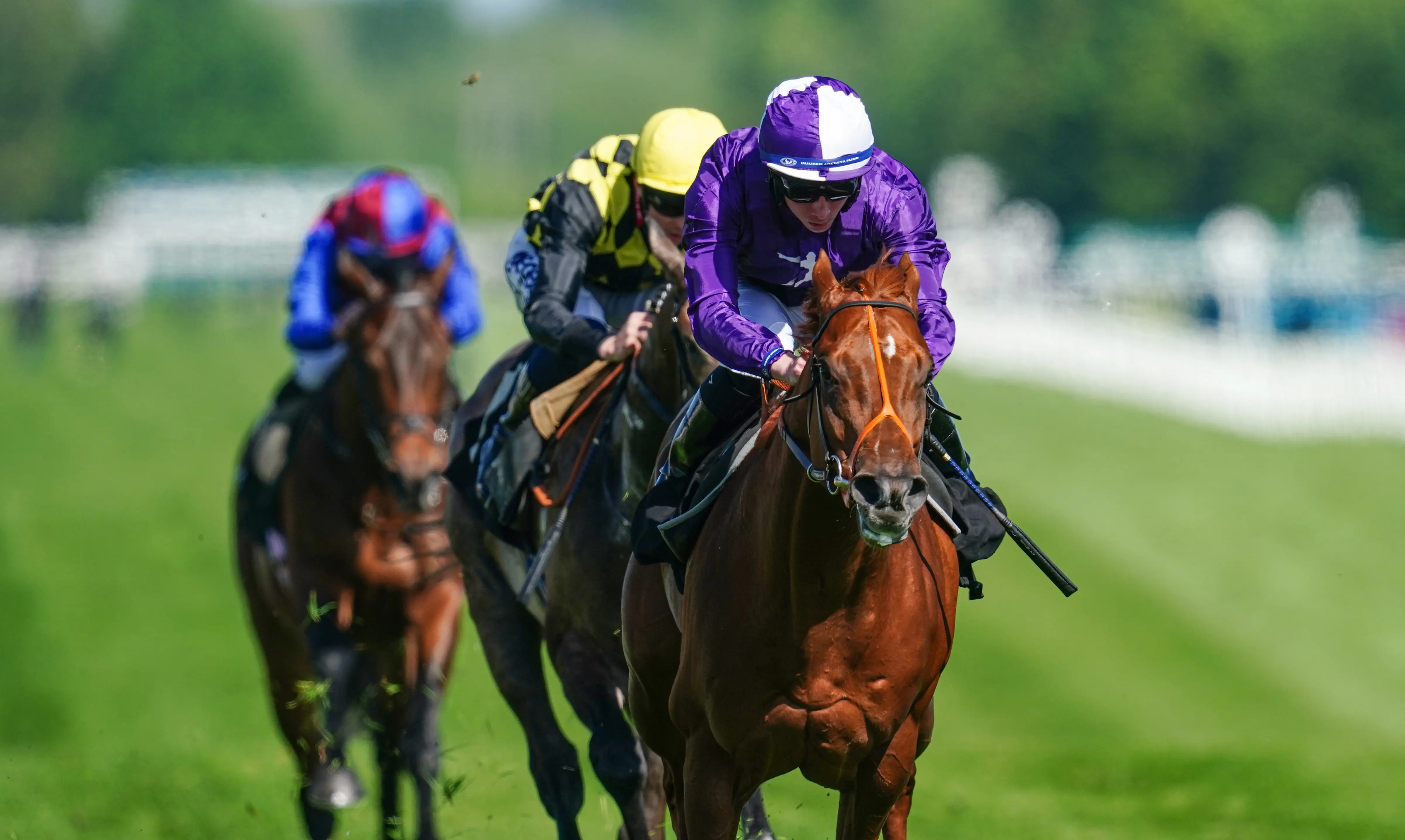 Hannon: Persian Force my "best chance" of Breeders’ Cup glory