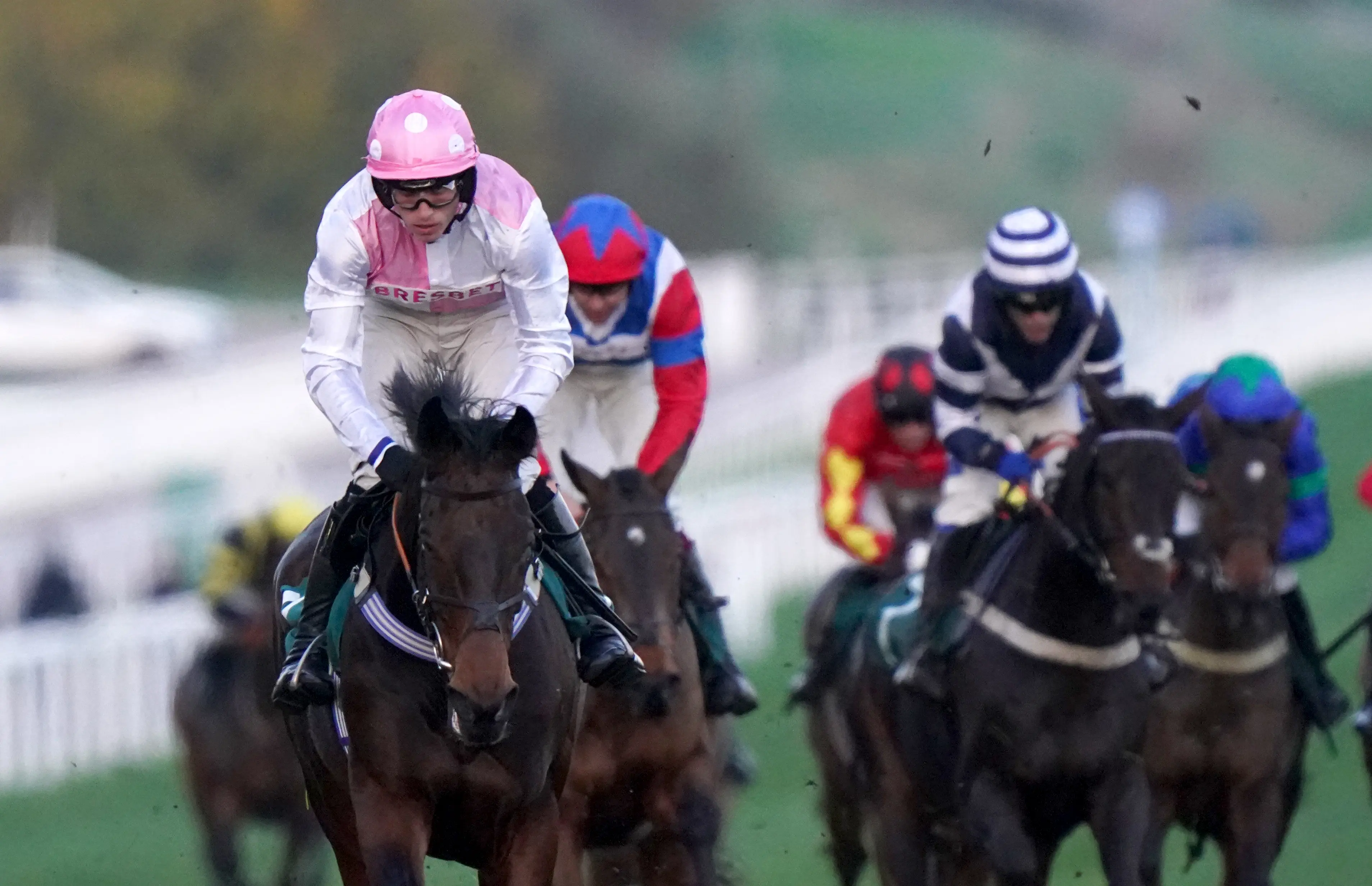 Milton Harris predicting big future for Gentle Slopes