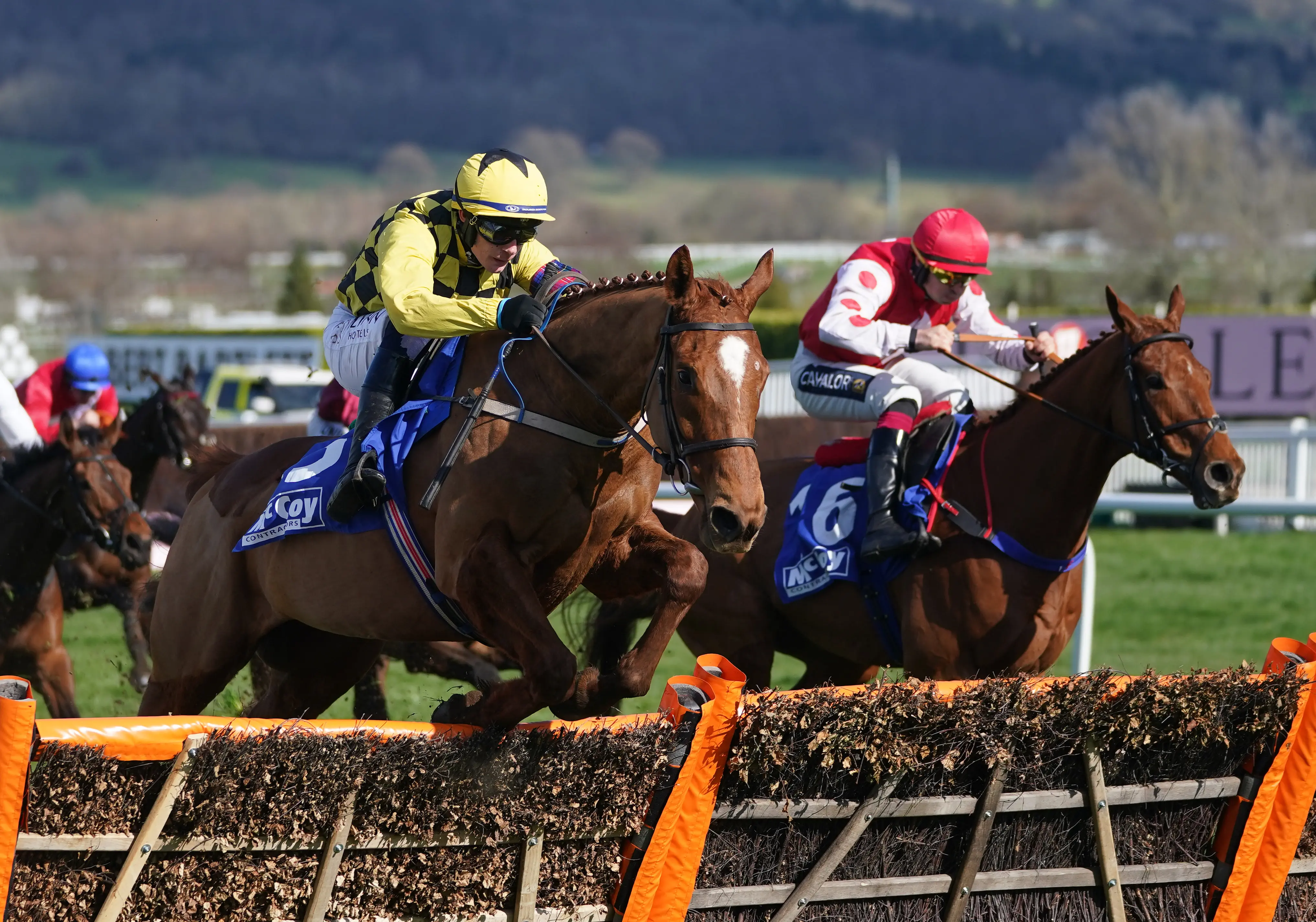 Fairyhouse preview: Colonel Mustard on fact-finding mission