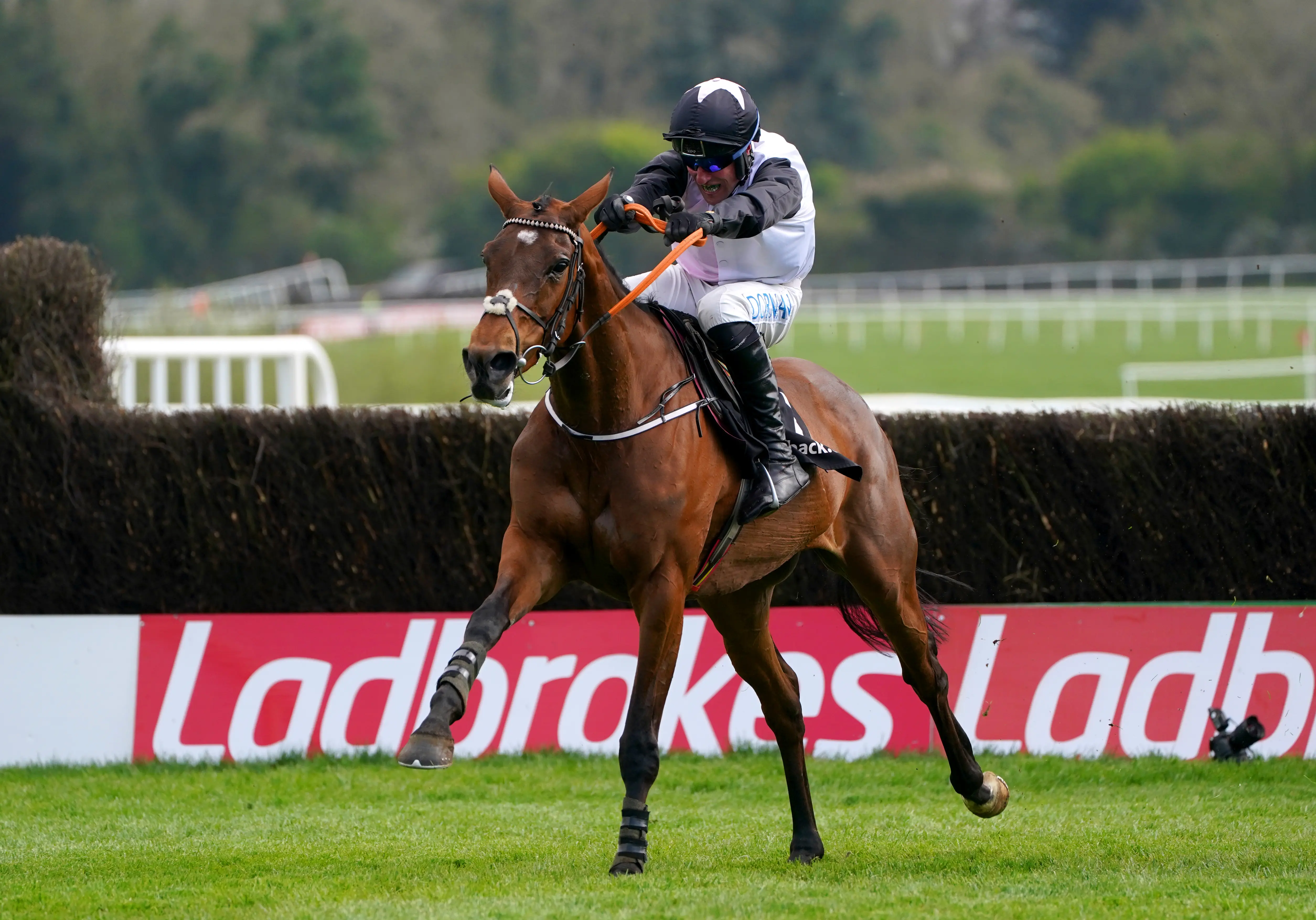 Naas reaction: Magic Daze set for Mares' Chase at Festival