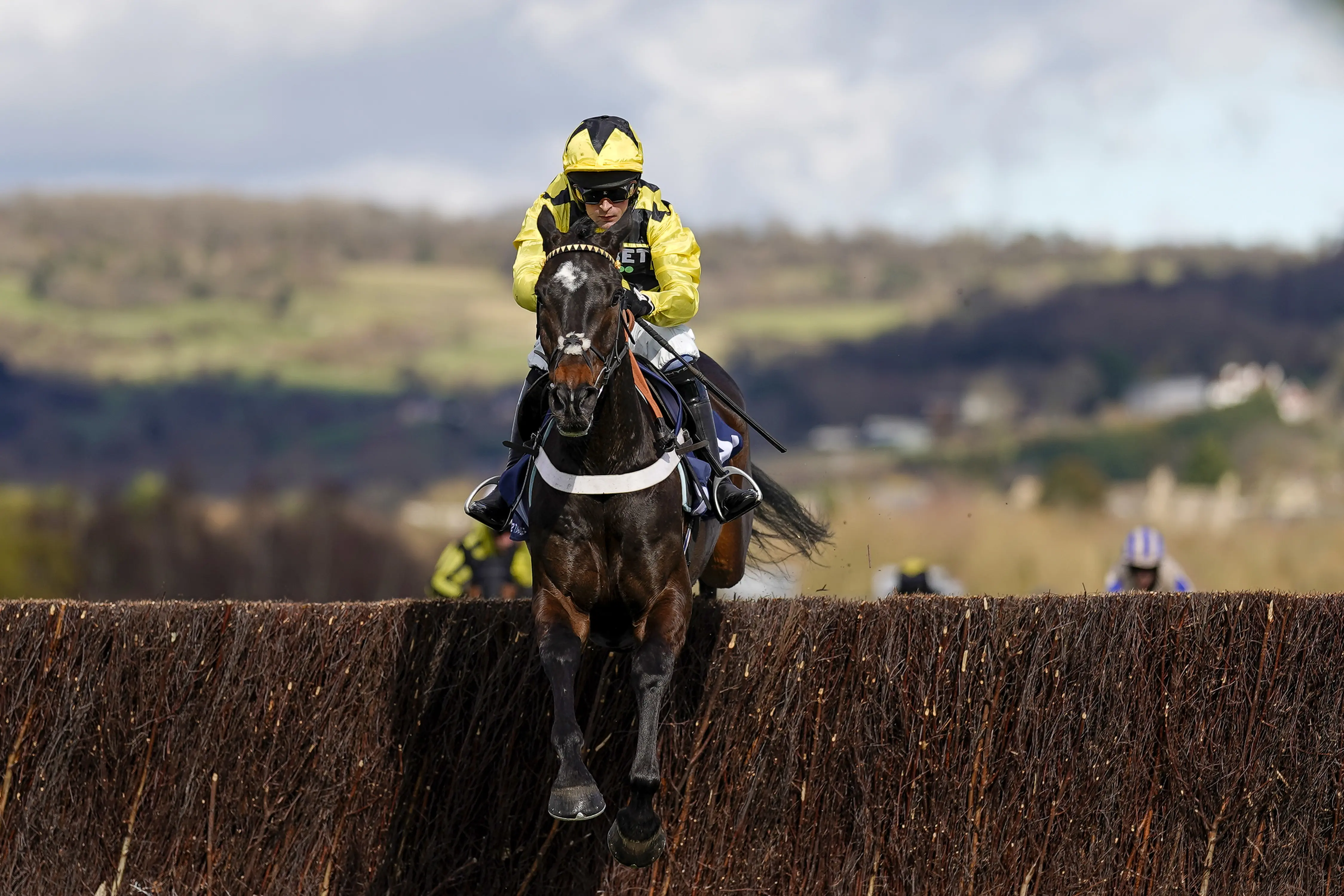 Shishkin faces five rivals in Betfair Ascot Chase
