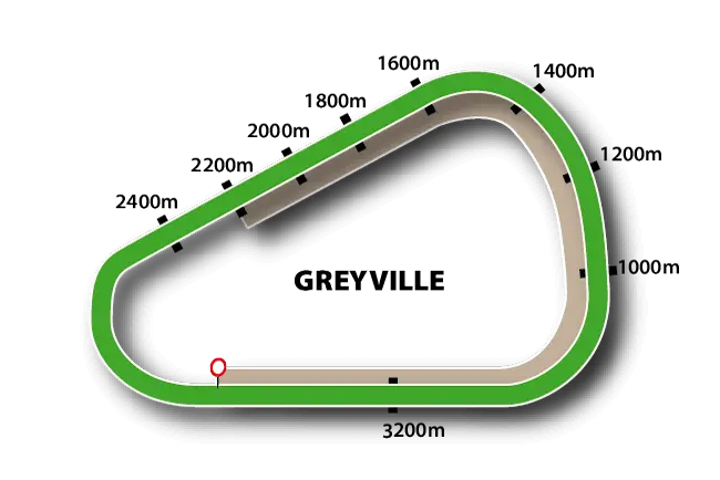 Greyville Racecourse, Results & Racecards