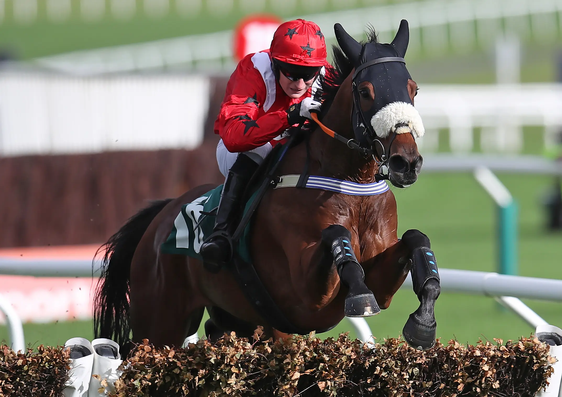 Soul Icon set to swerve Imperial Cup