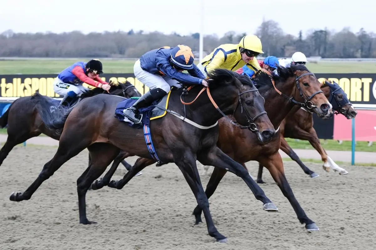 James Tate set to unleash pair of smart performers this week