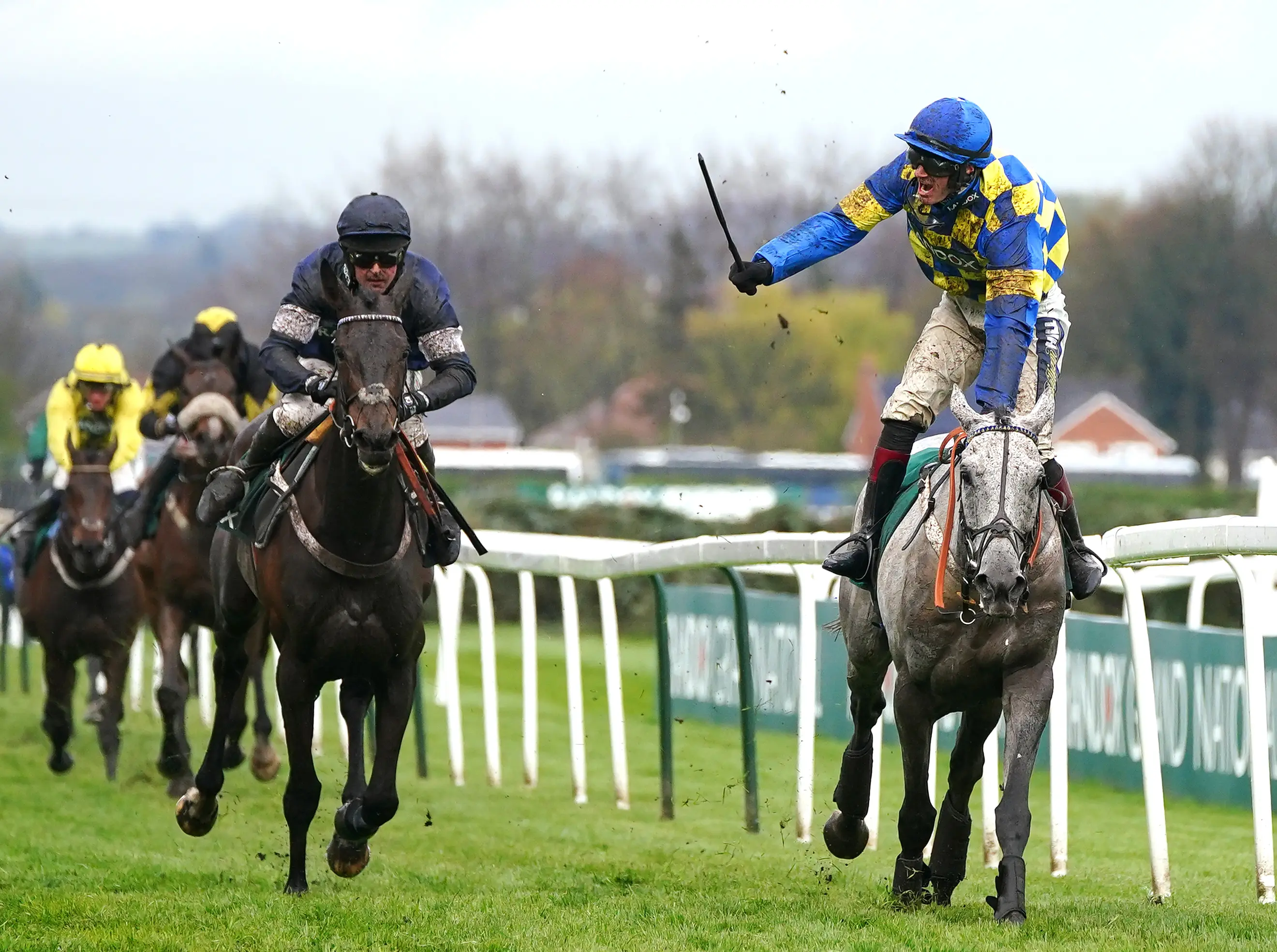 Bill Baxter shines over the National fences to put Greatrex on top again