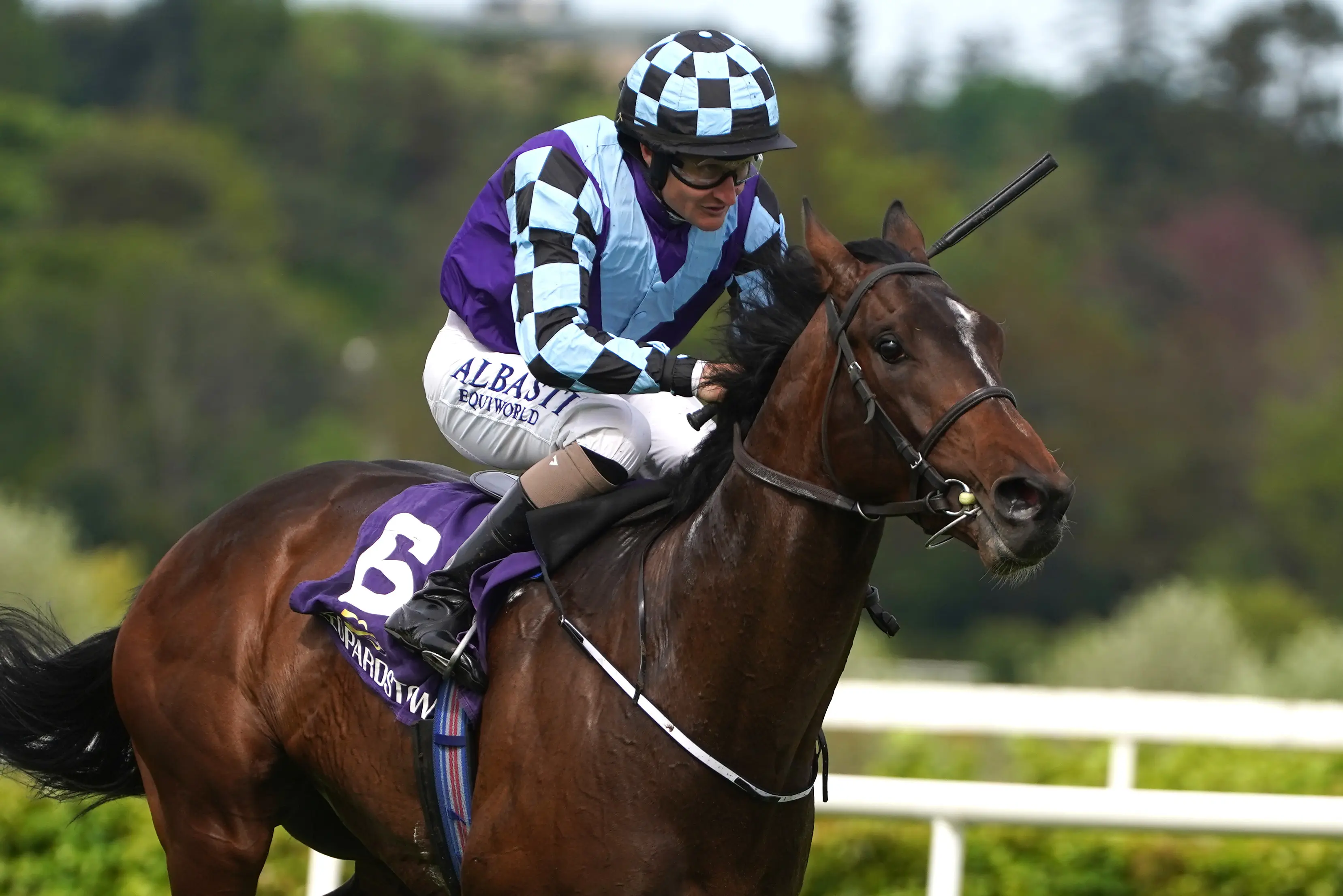 Sprewell powers into Derby reckoning with Leopardstown win