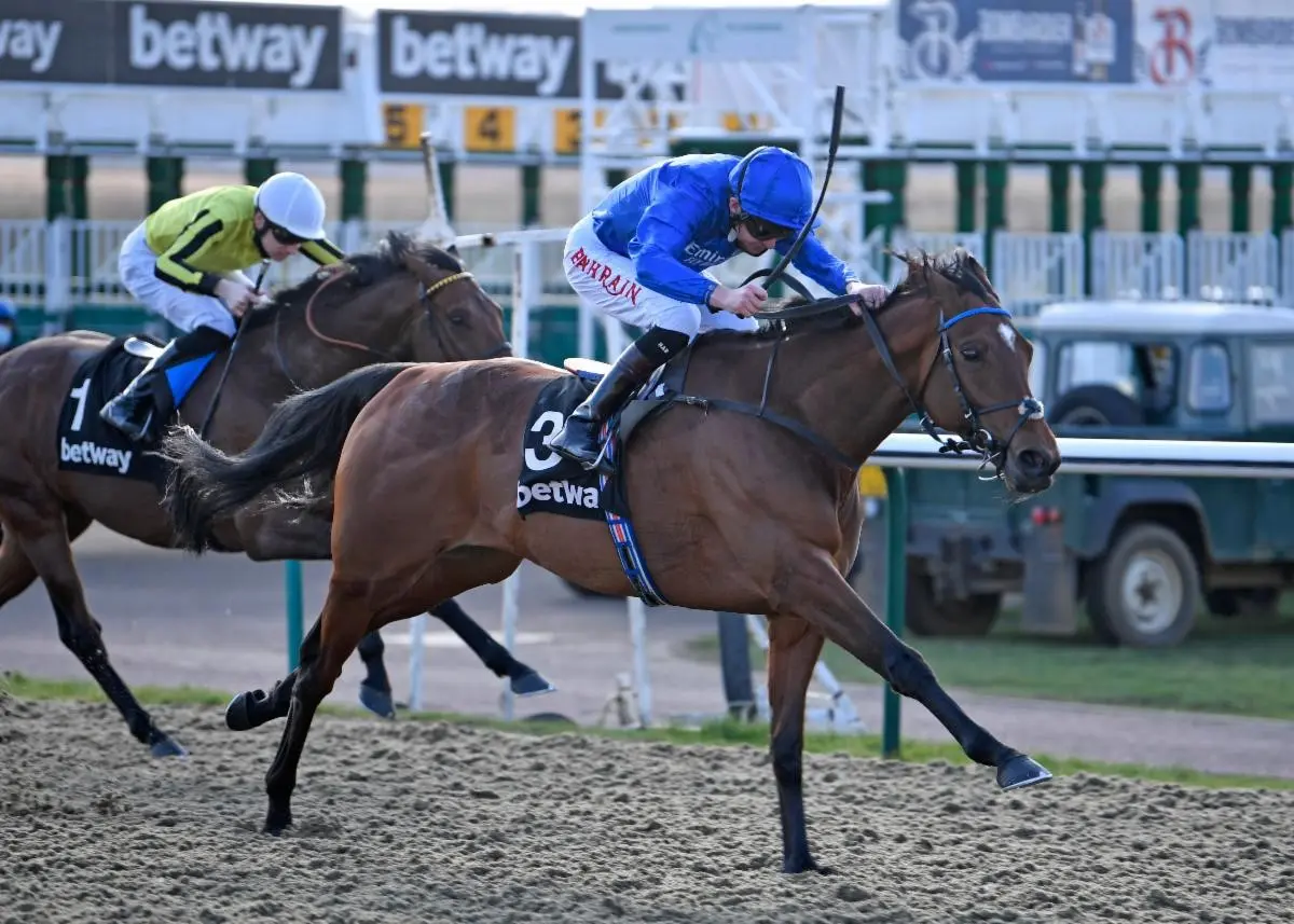 Newcastle preview: Forest Of Dean and Harrovian tough to split