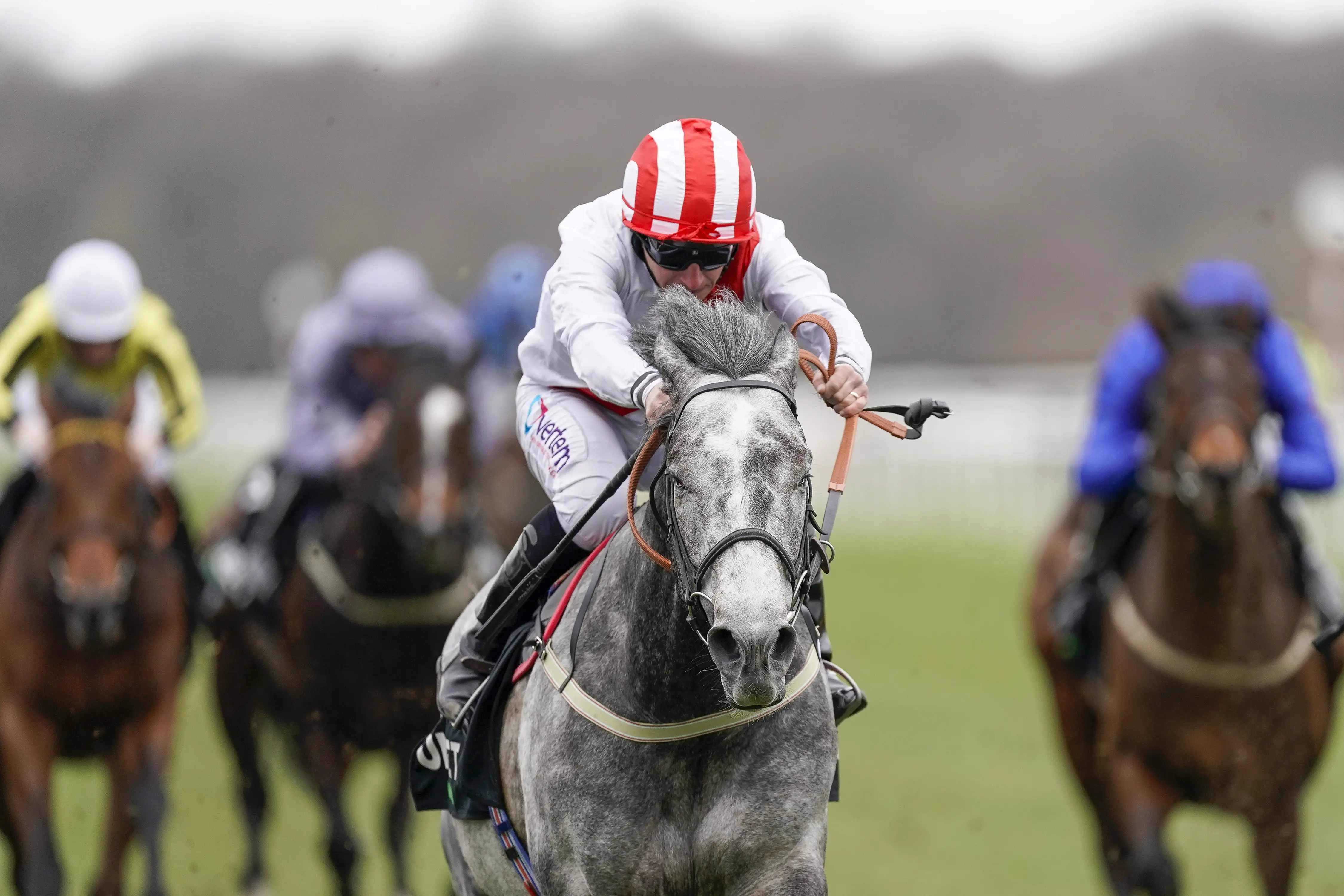 Lockinge an option for impressive Doncaster winner Top Rank