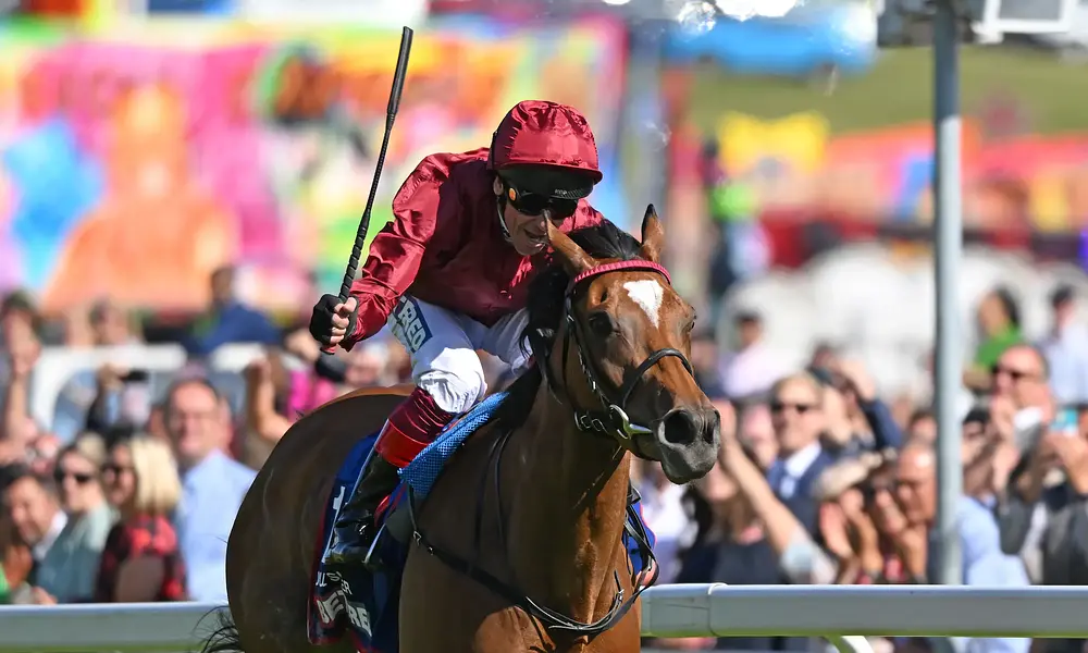 Watch Today's Live Horse Racing Streaming | Racing TV