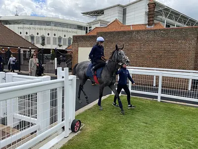 Newmarket gallops: Fallen Angel looks divine on Rowley Mile